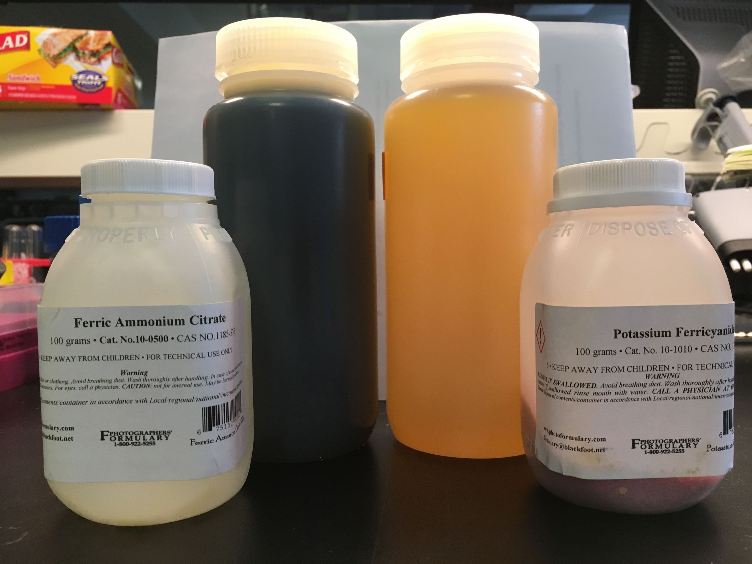 Alternative Photography: Anthotype & Cyanotype : 5 Steps (with Pictures ...