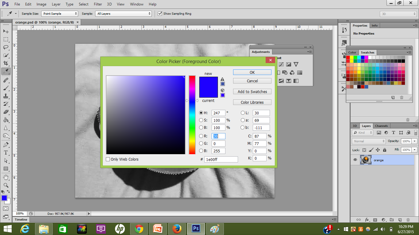 How to Colorize a Black and White Photo With Adobe Photoshop CS6 : 21 ...