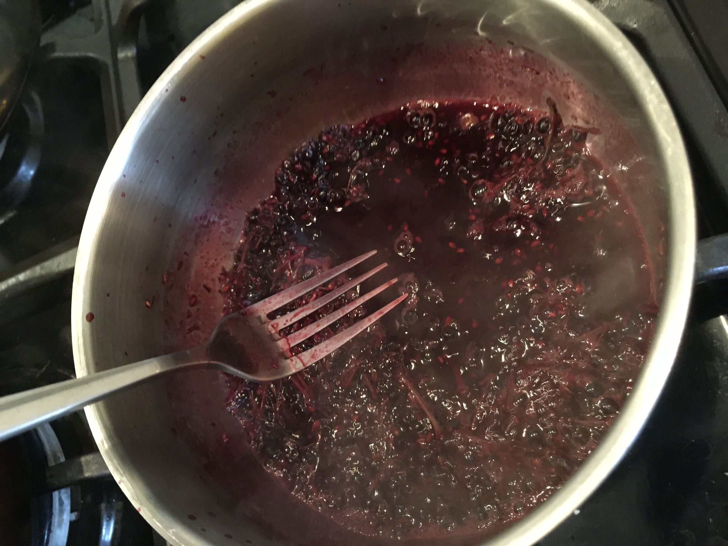 Home Made Ink From Nature: Perfect Purples : 18 Steps (with Pictures ...