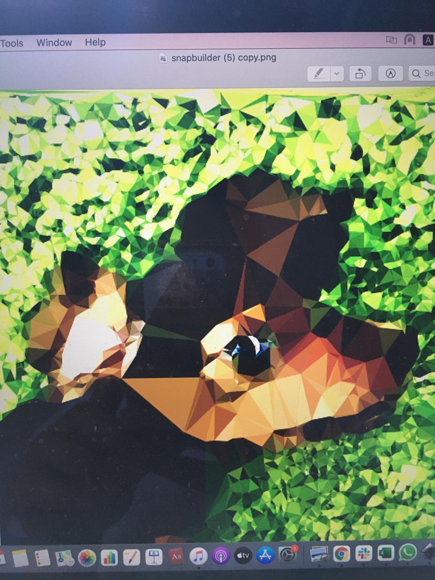 Low Poly Acrylic Painting Art From a Photo : 5 Steps (with Pictures ...