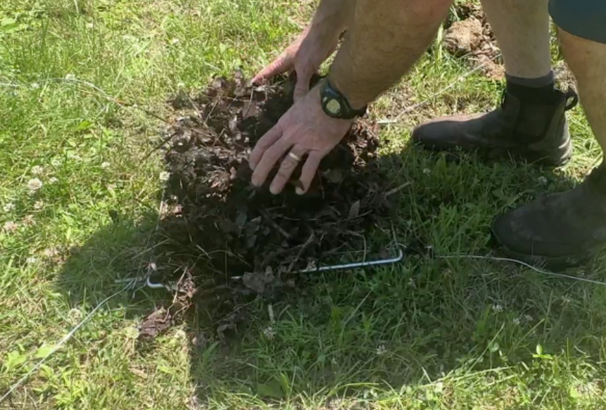 Paper Bag Pig in the Ground : 10 Steps (with Pictures) - Instructables