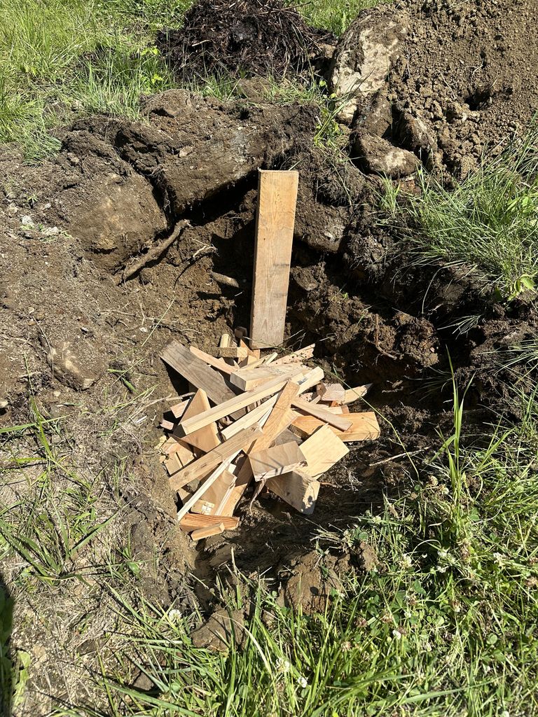 Paper Bag Pig in the Ground : 10 Steps (with Pictures) - Instructables