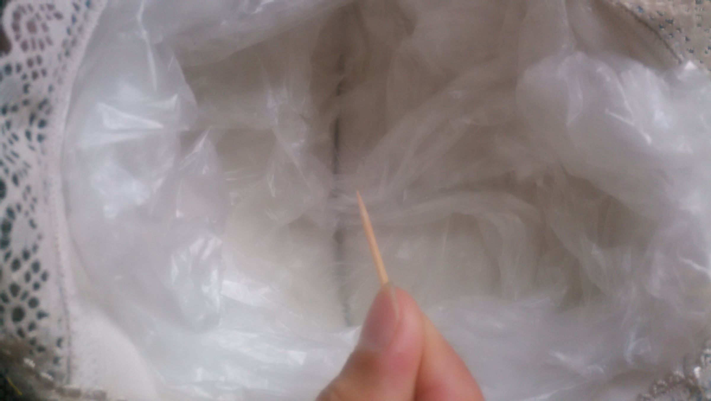 Guerilla Gardening With a Bra : 6 Steps (with Pictures) - Instructables