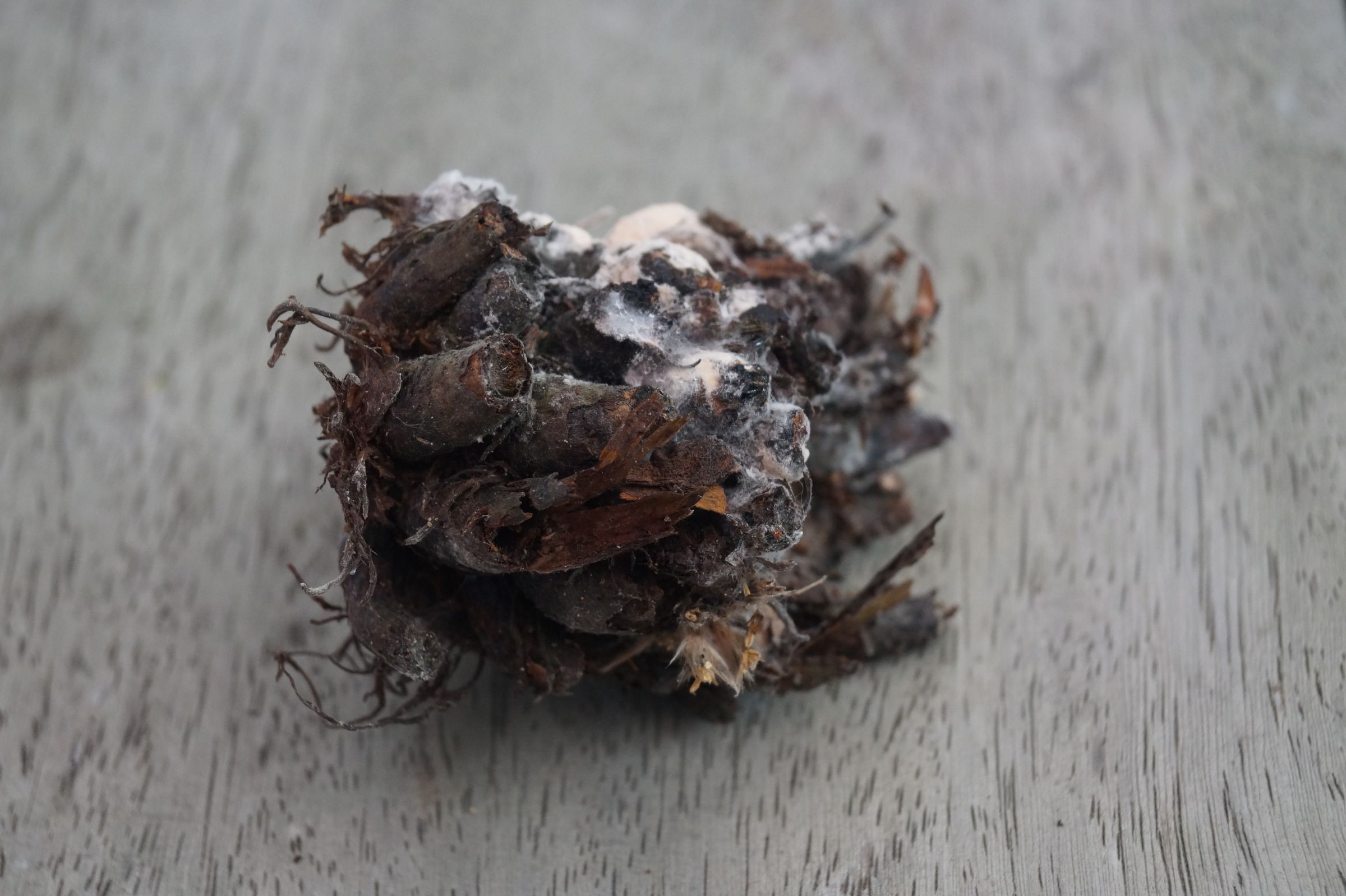 Creativity : Geocatch Map : 13 Steps (with Pictures) - Instructables