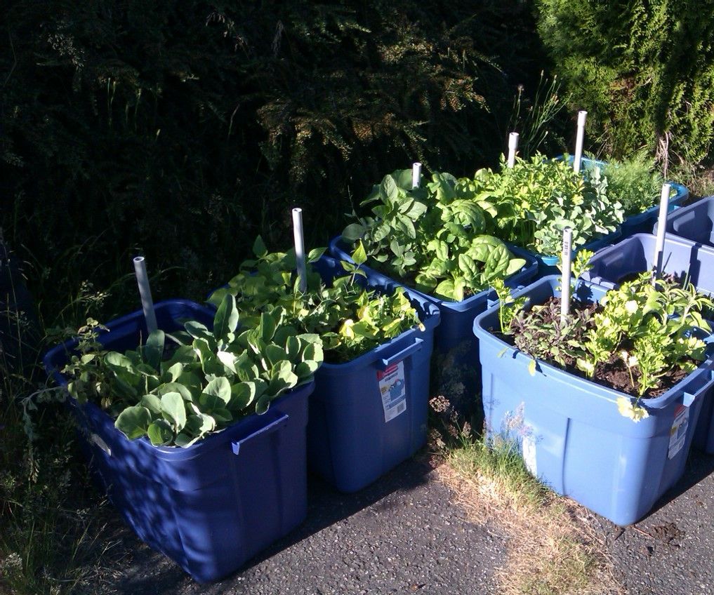 Yet Another Self Watering Container : 5 Steps (with Pictures ...