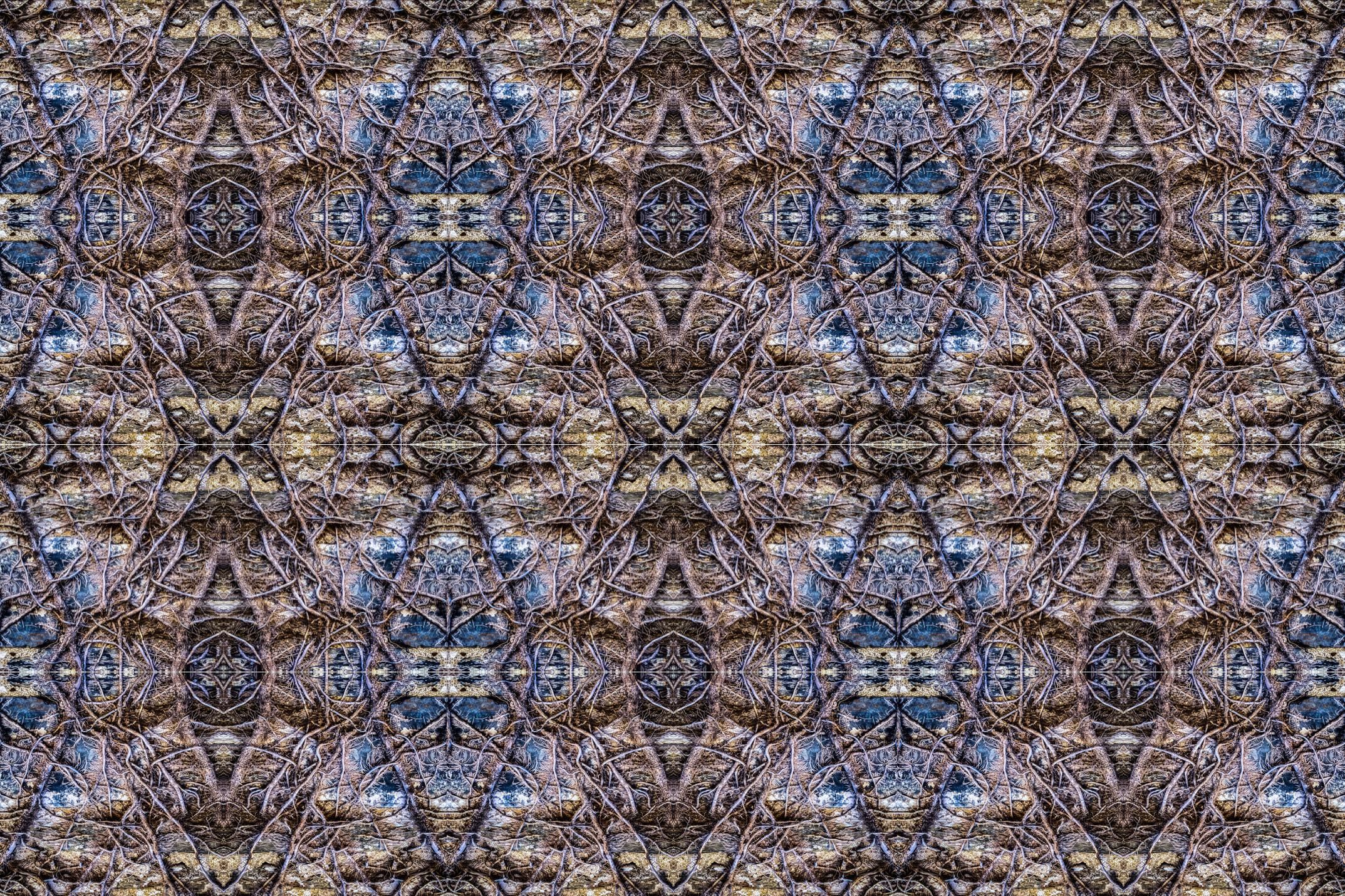 Making Patterns From Nature : 4 Steps (with Pictures) - Instructables