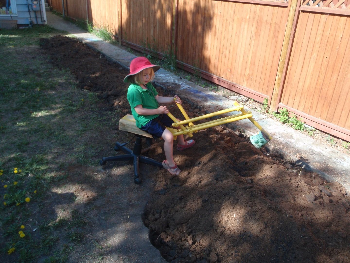 Restore a Backyard With Dead Soil (Before and After) : 9 Steps (with ...