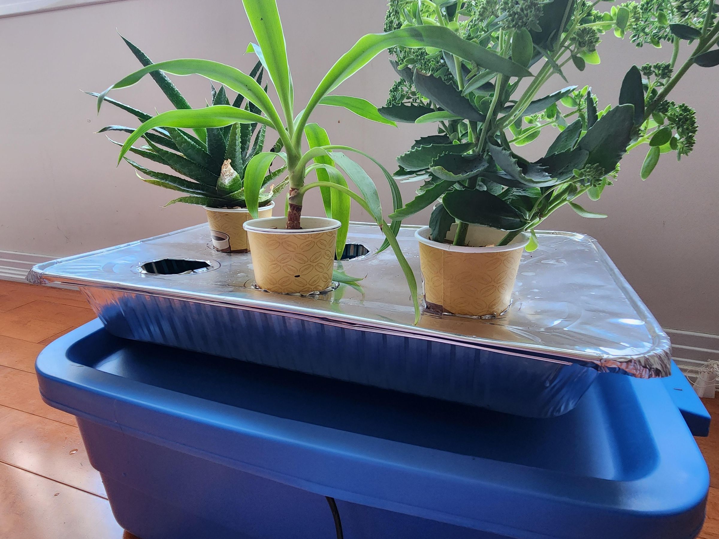 JunkyardHydro - a Modular Ebb and Flow DIY Hydroponics System : 15 ...