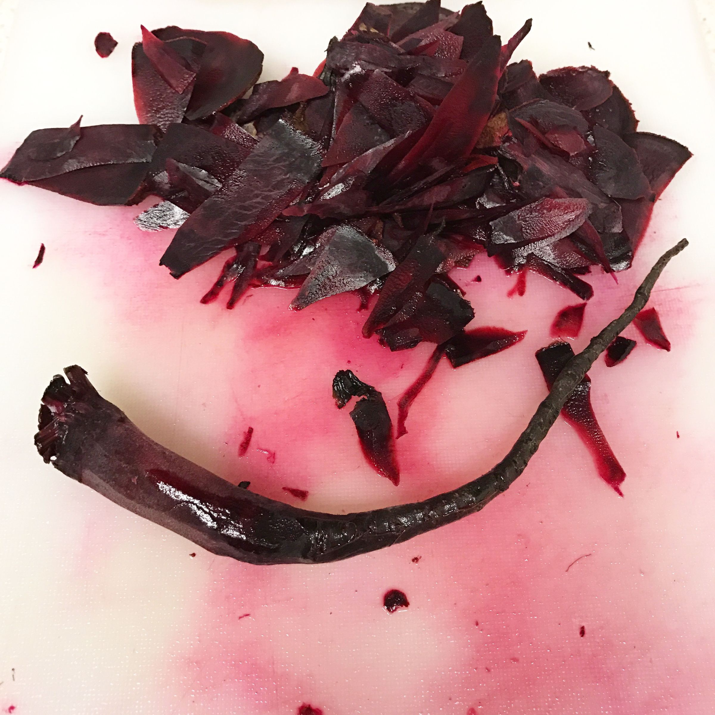 Roadkill Opossum Meatloaf : 4 Steps (with Pictures) - Instructables