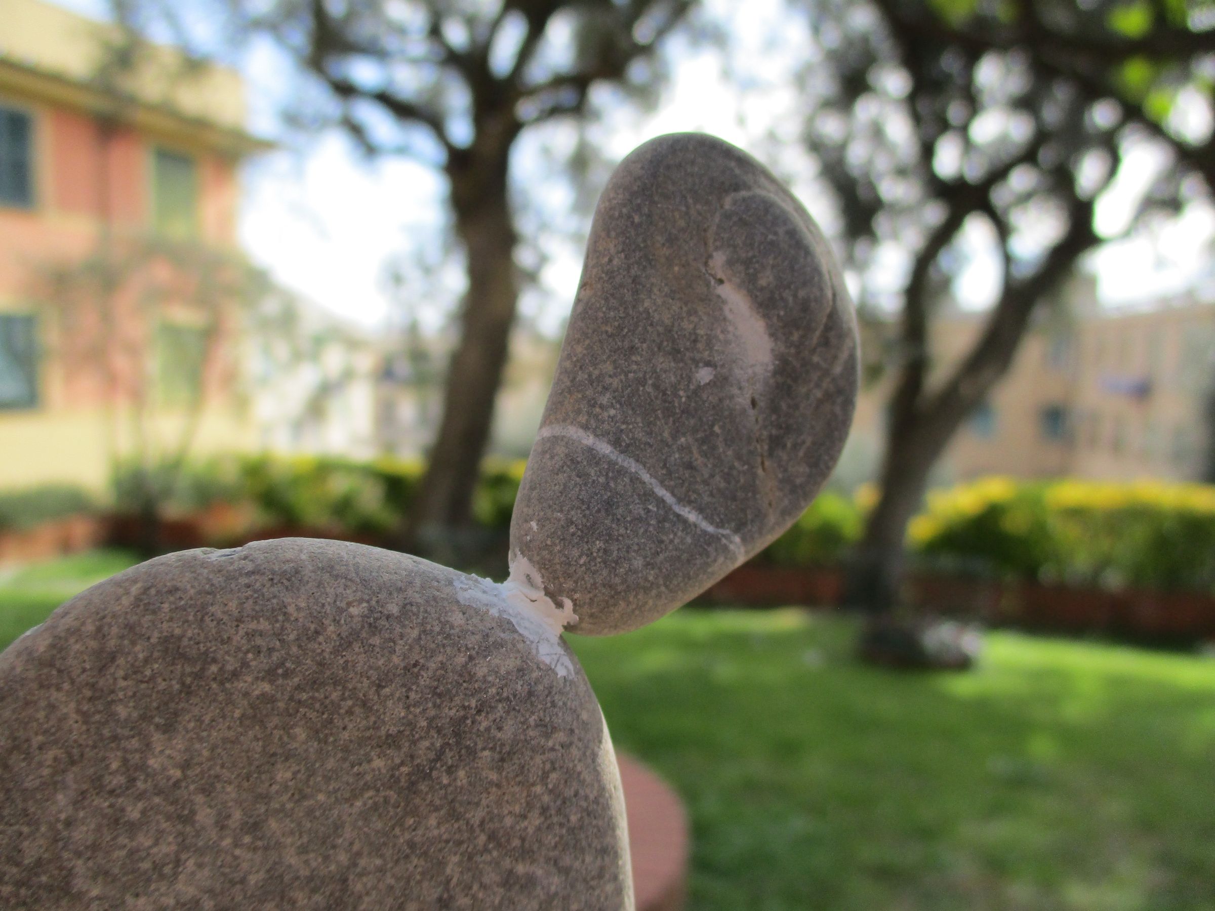 Pebble Cactus : 9 Steps (with Pictures) - Instructables