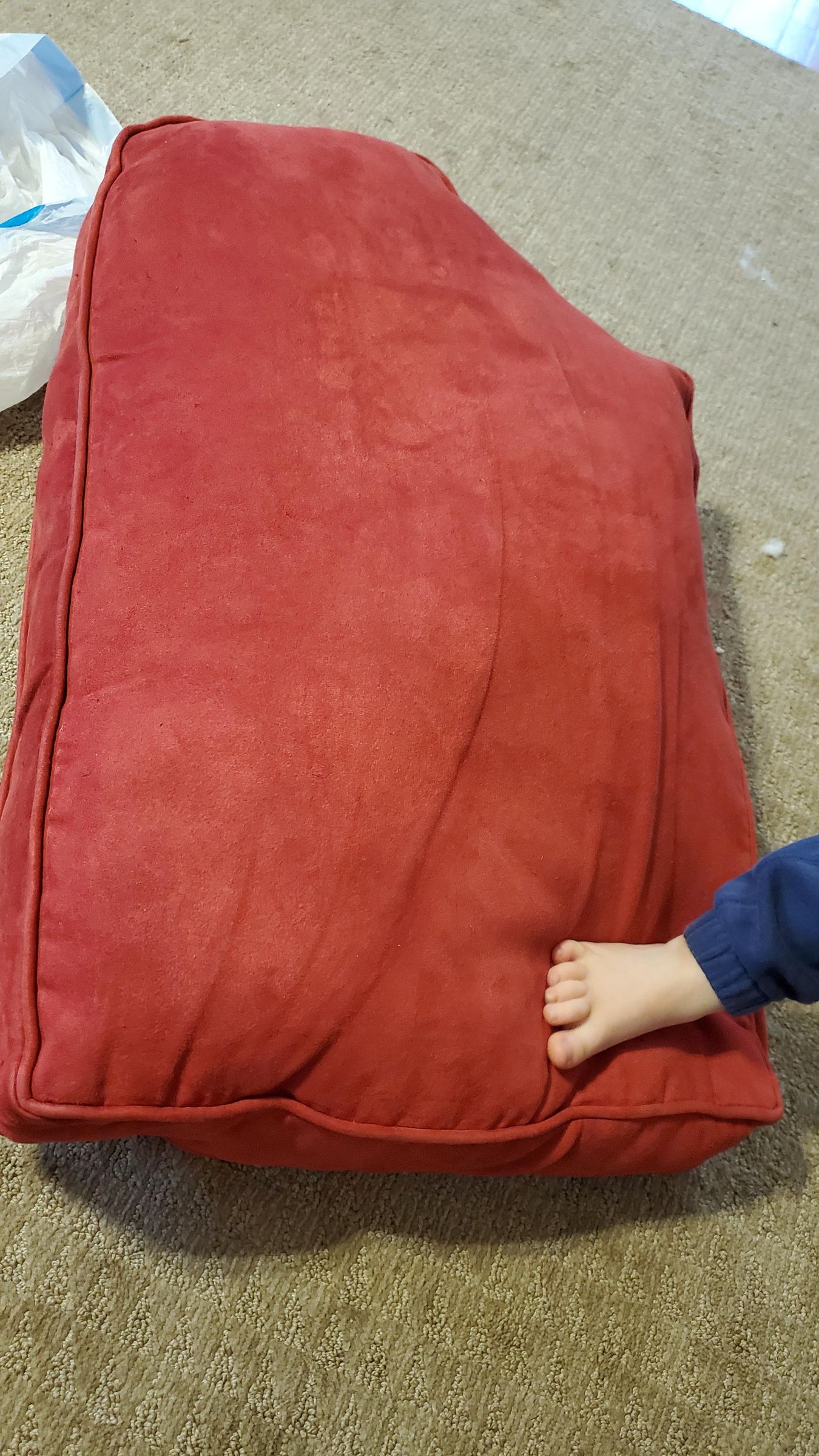 Couch Cushion Reform and Cat Sitting Deterrent : 3 Steps - Instructables