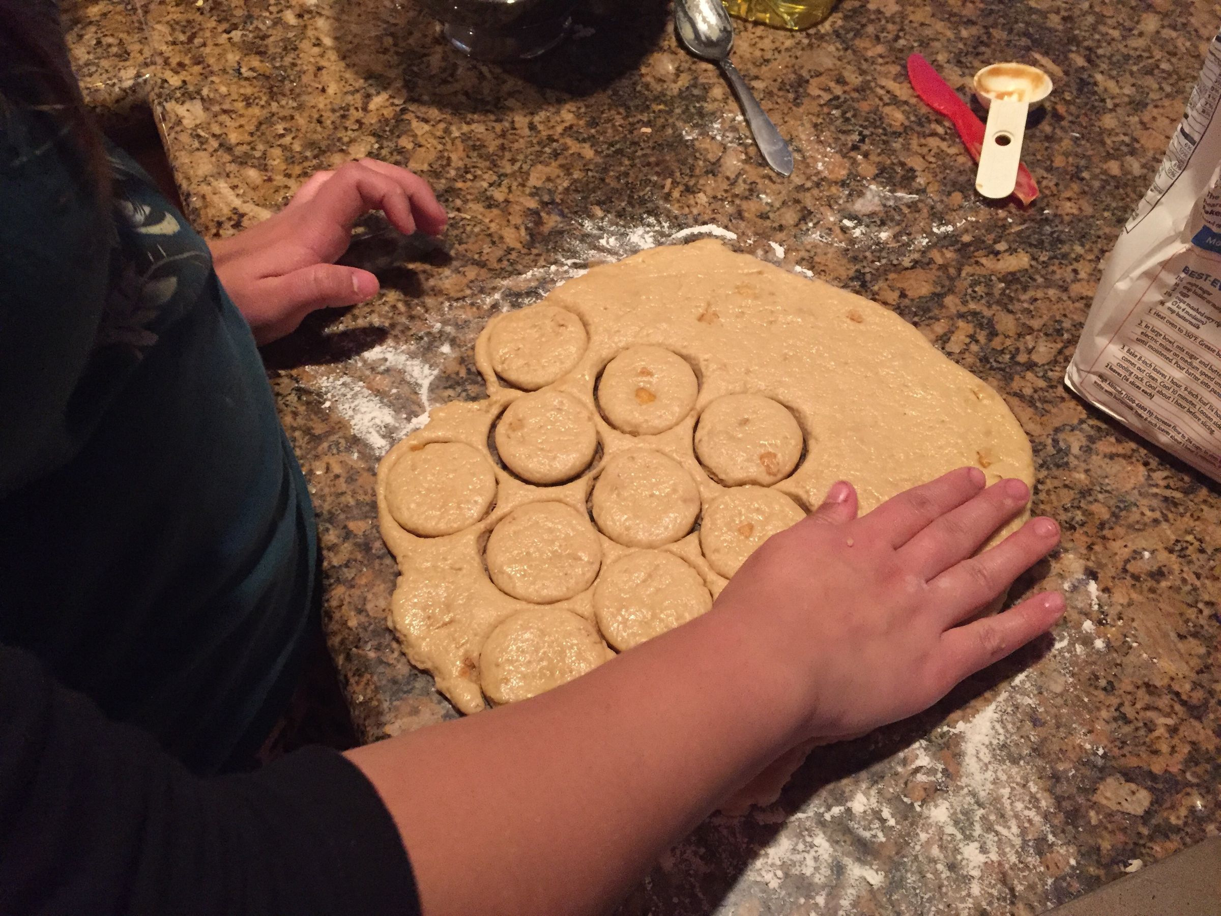 Homemade Dog Cookies : 7 Steps - Instructables