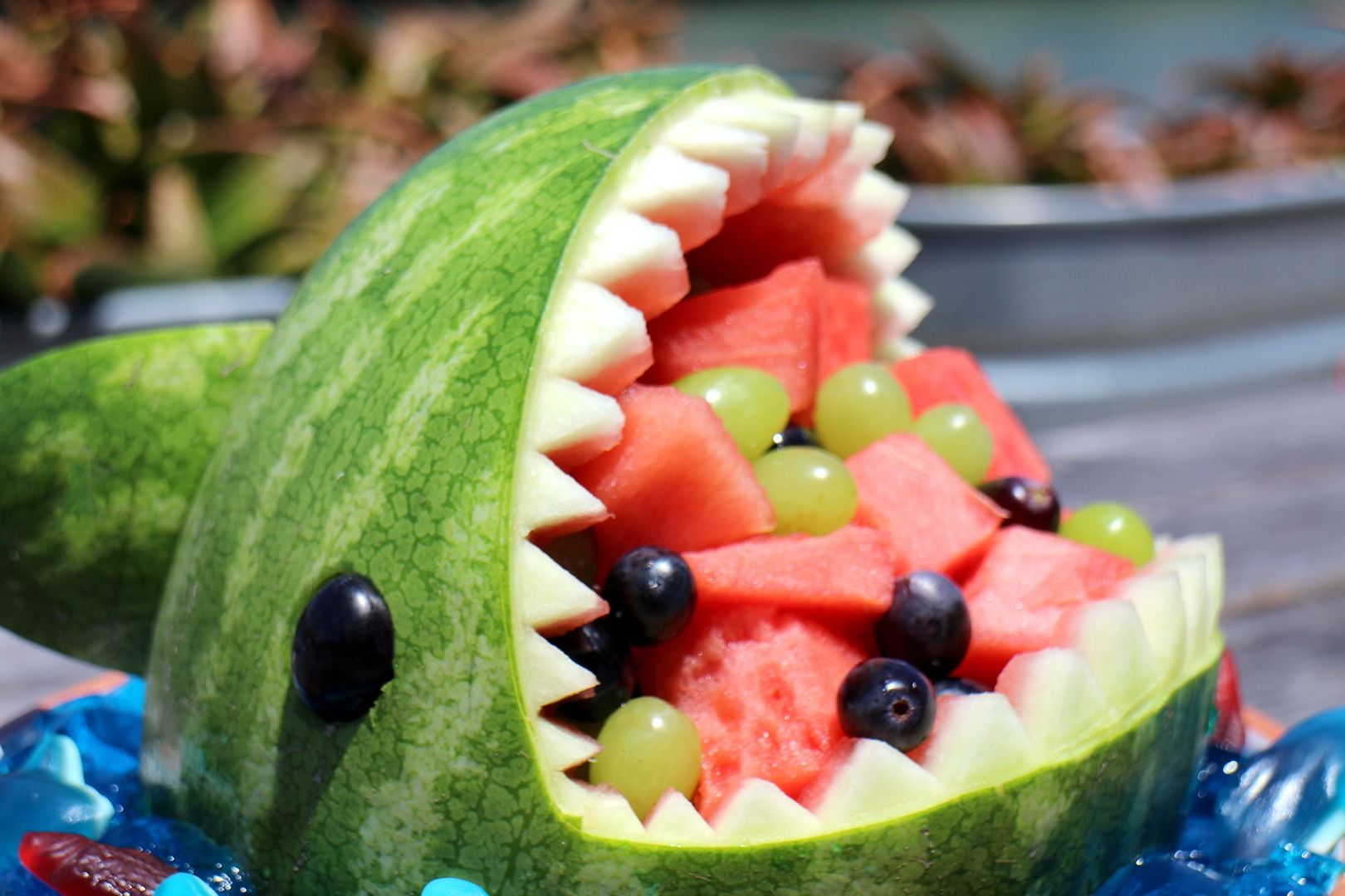 Watermelon Shark : 13 Steps (with Pictures) - Instructables