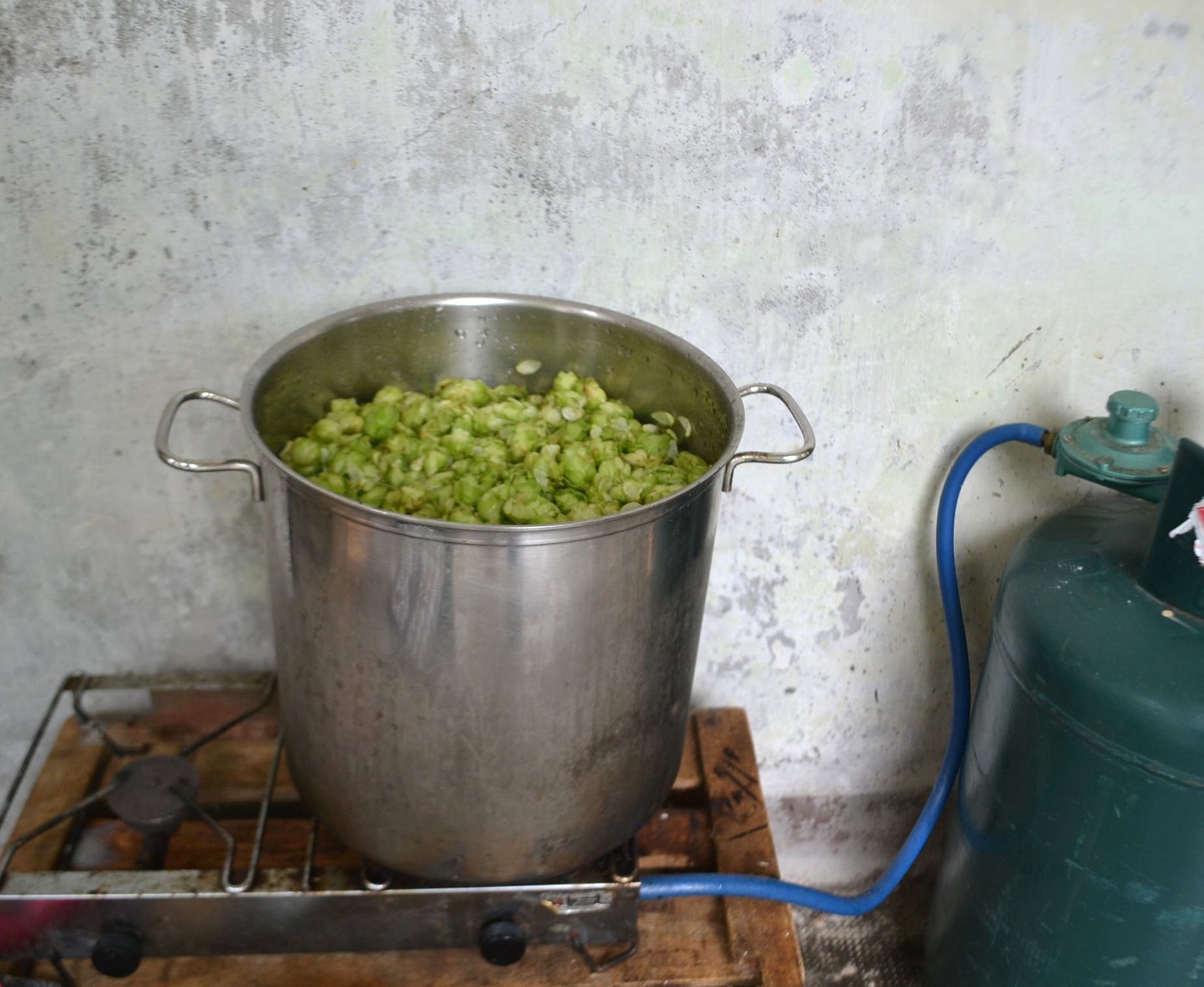 DOUBLE HOP BEER (dry Hopping) : 14 Steps (with Pictures) - Instructables