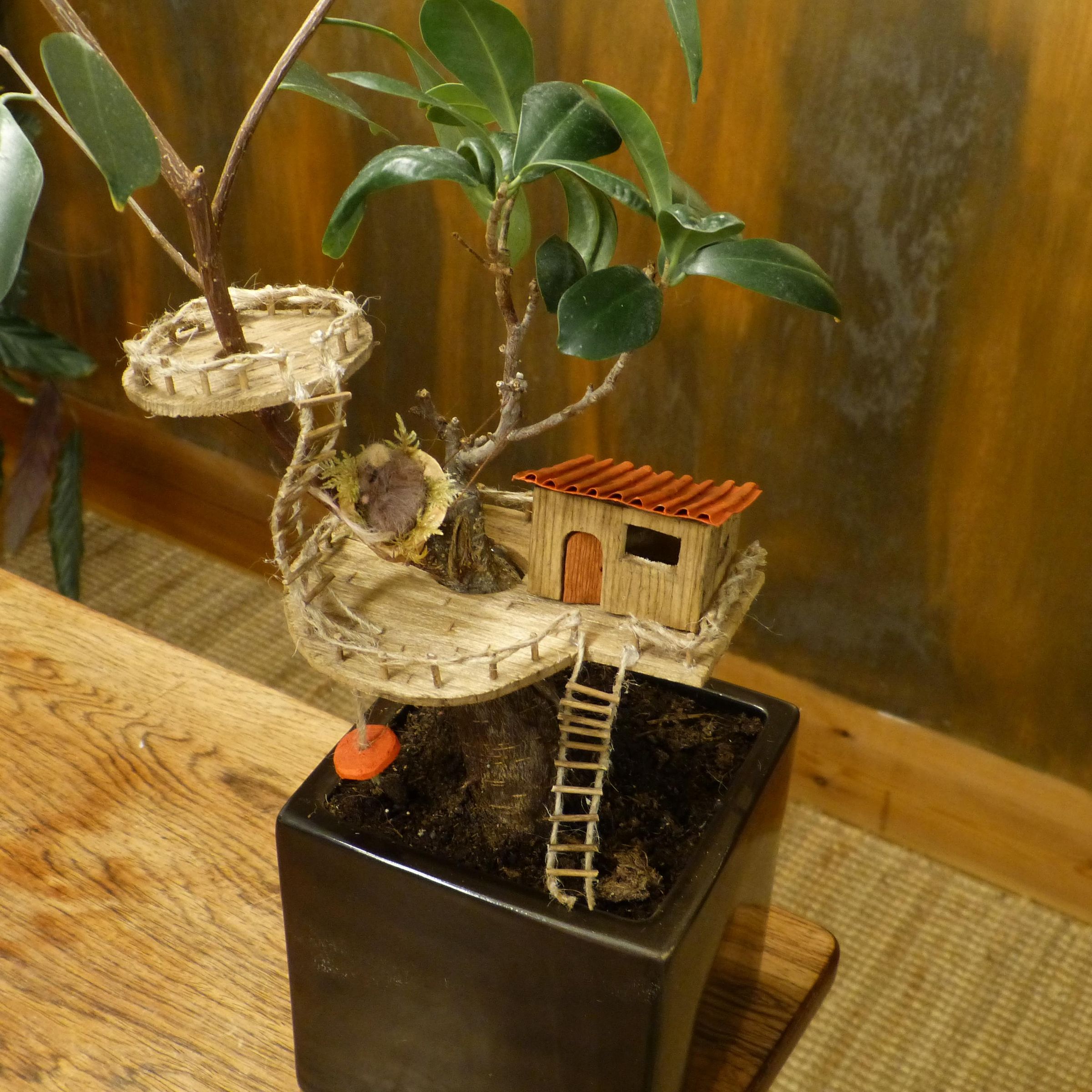 Houseplant Treehouse & Tiny Mouse : 15 Steps (with Pictures ...