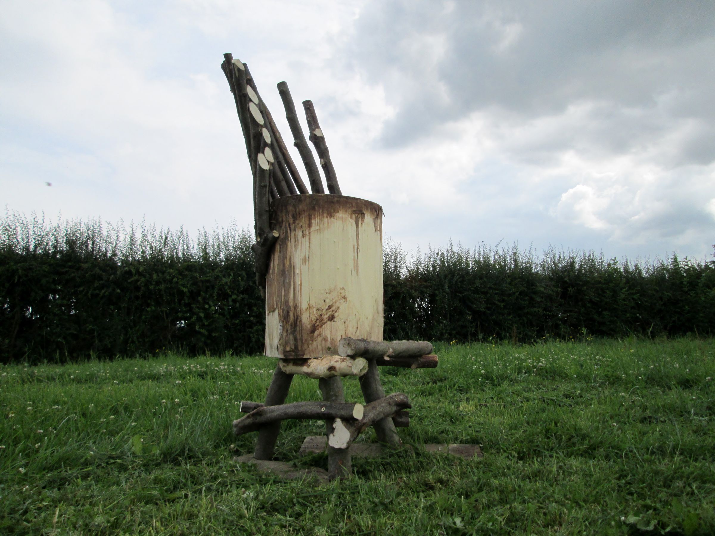 Stump Throne : 5 Steps (with Pictures) - Instructables