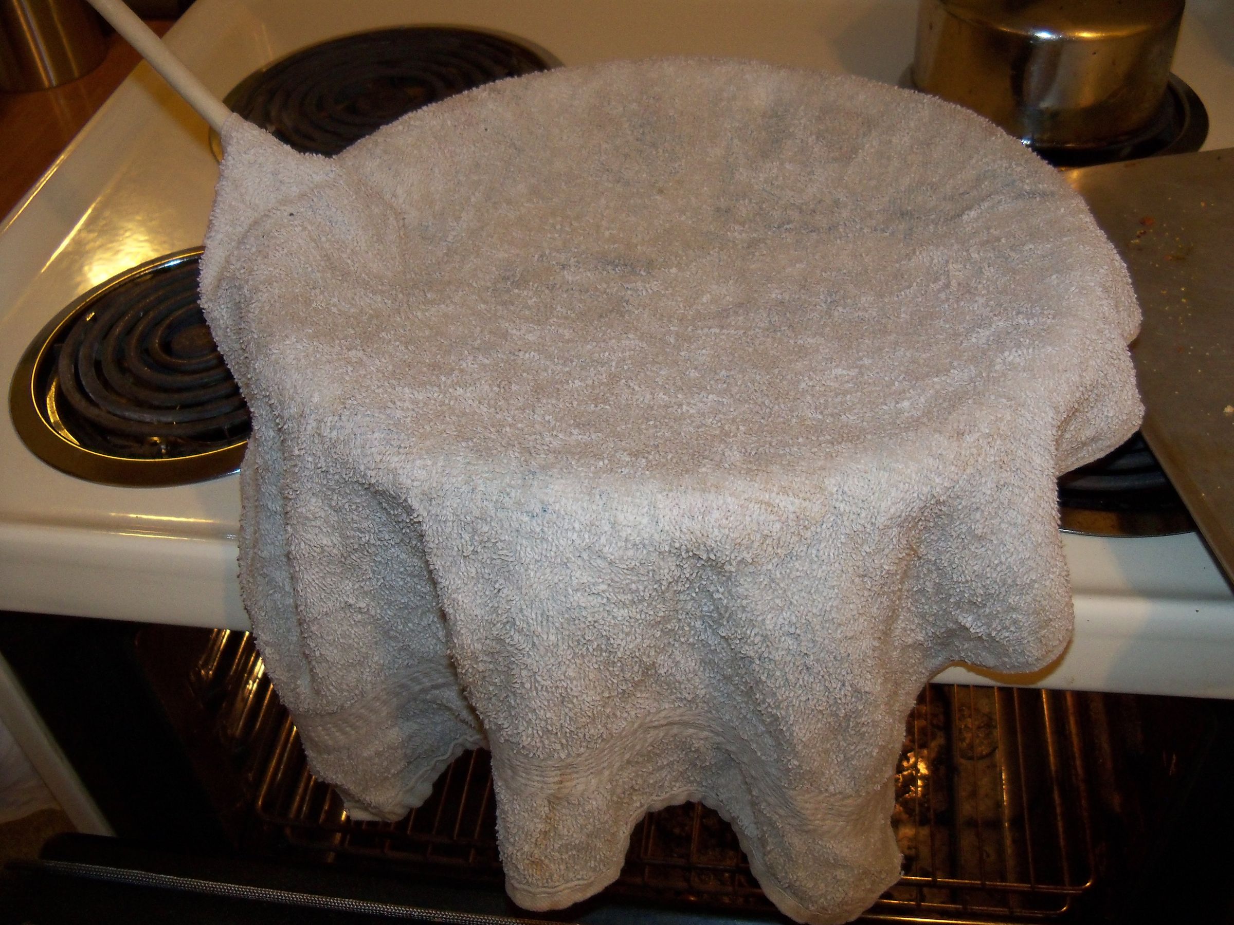 Amazing (and Easy!) Bread From Spent Grains : 8 Steps (with Pictures ...