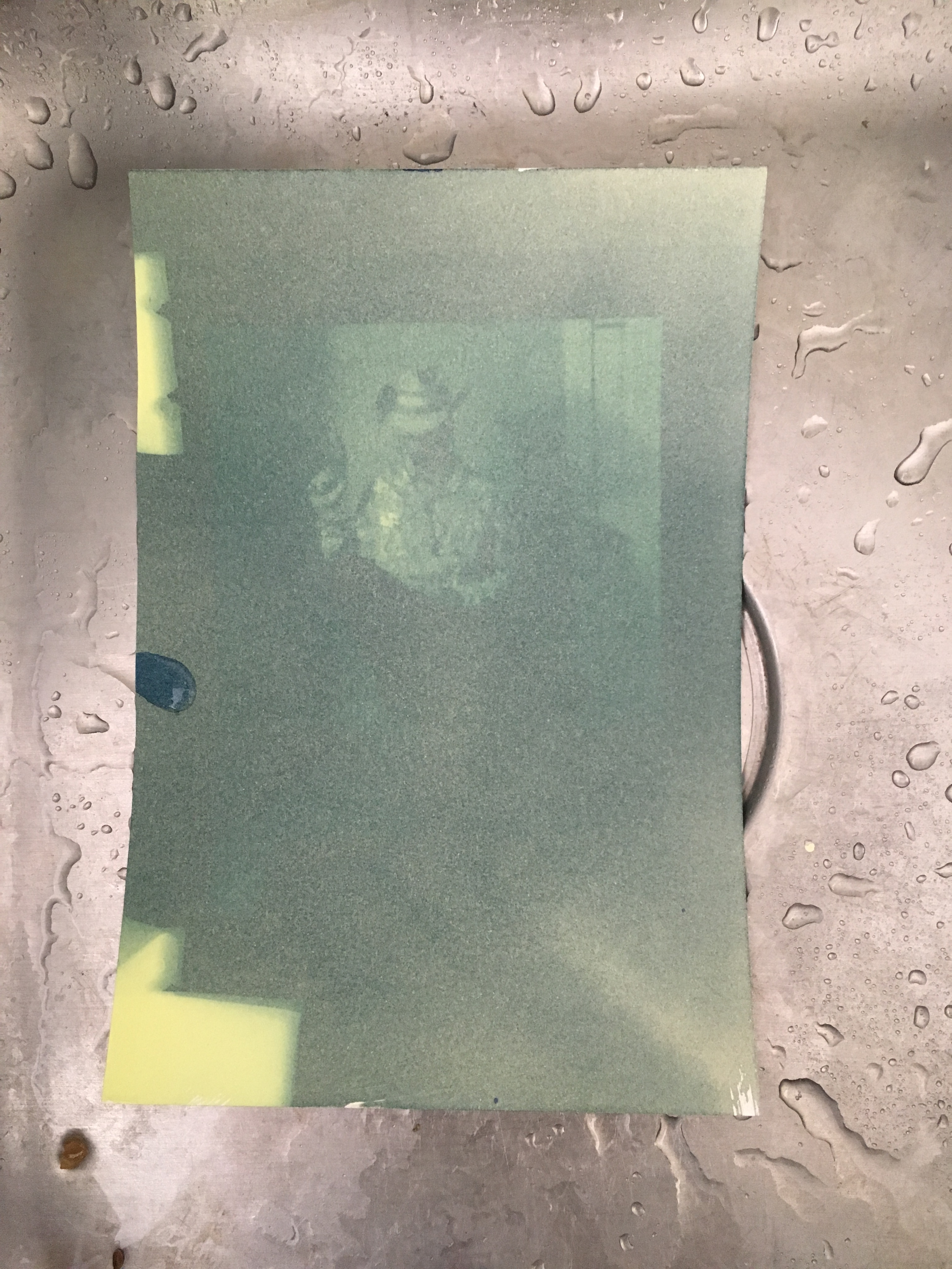 Alternative Photography: Anthotype & Cyanotype : 5 Steps (with Pictures ...