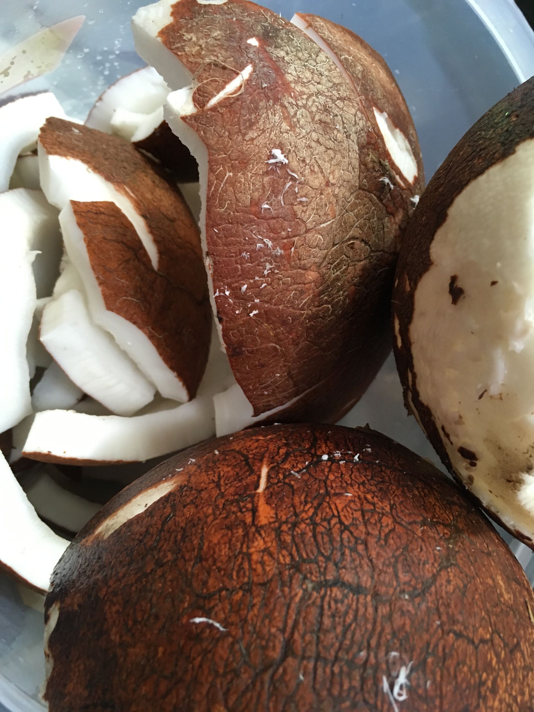 Virgin Coconut Oil Making : 4 Steps - Instructables