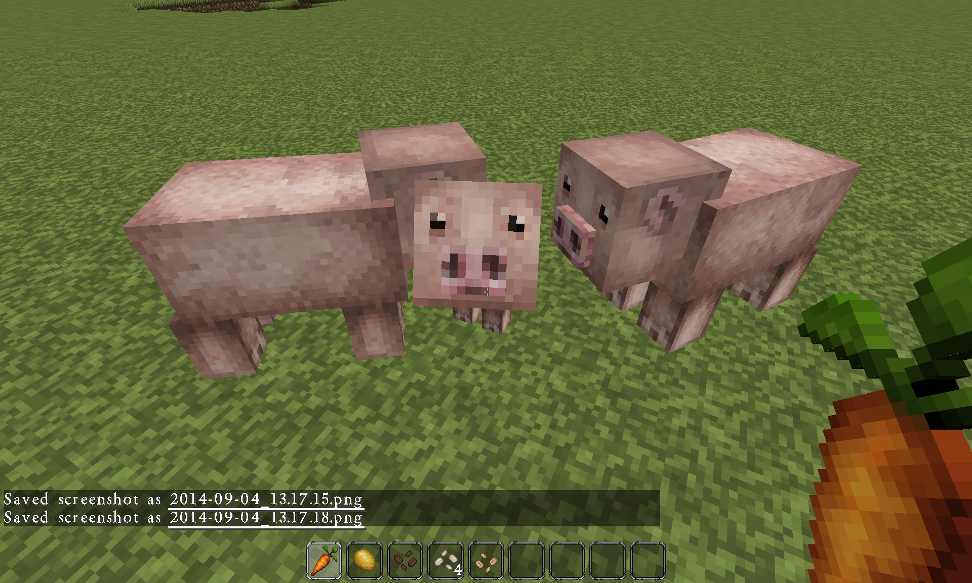 Minecraft Farming 101 : 6 Steps - Instructables