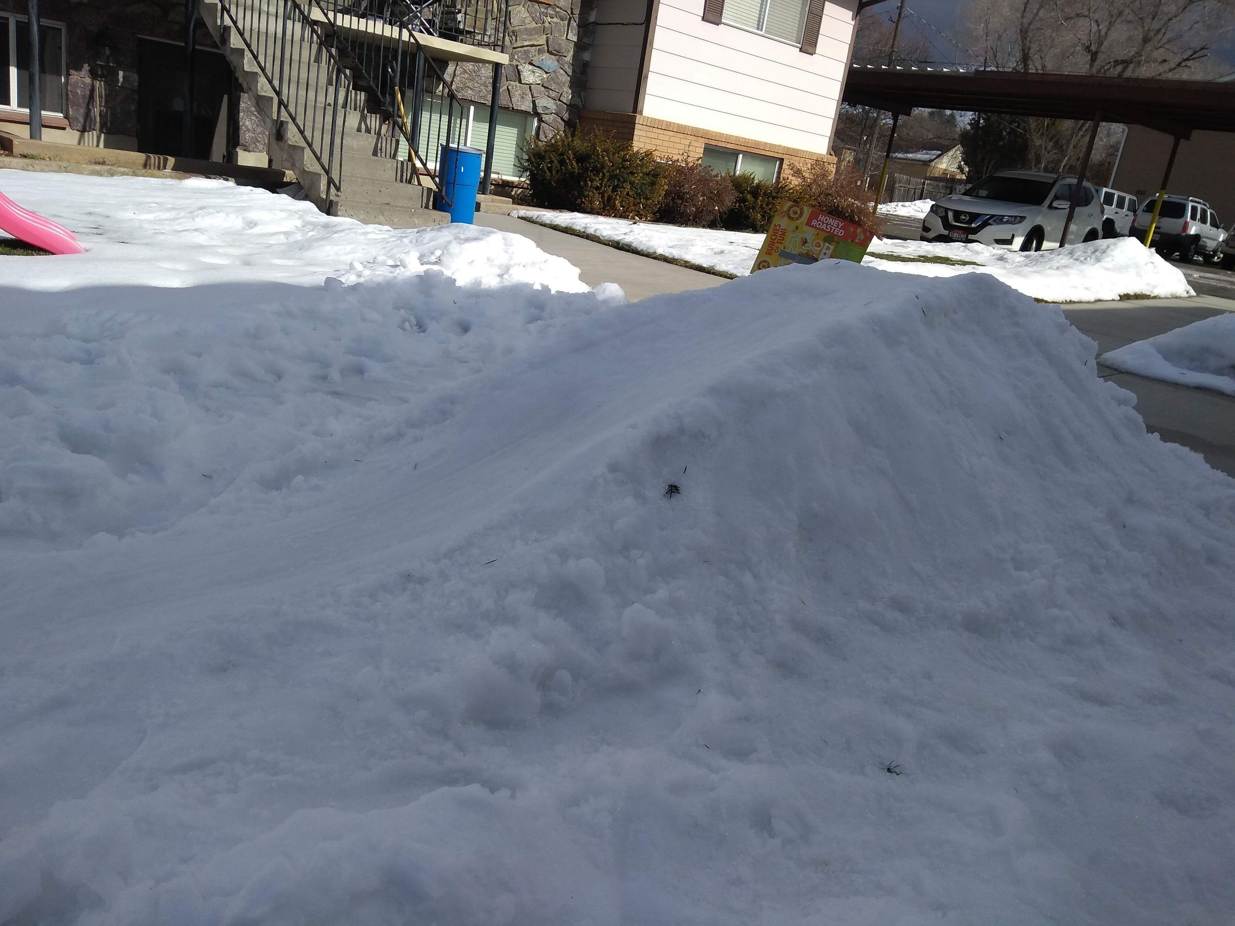 Shed Roof Snow Slide