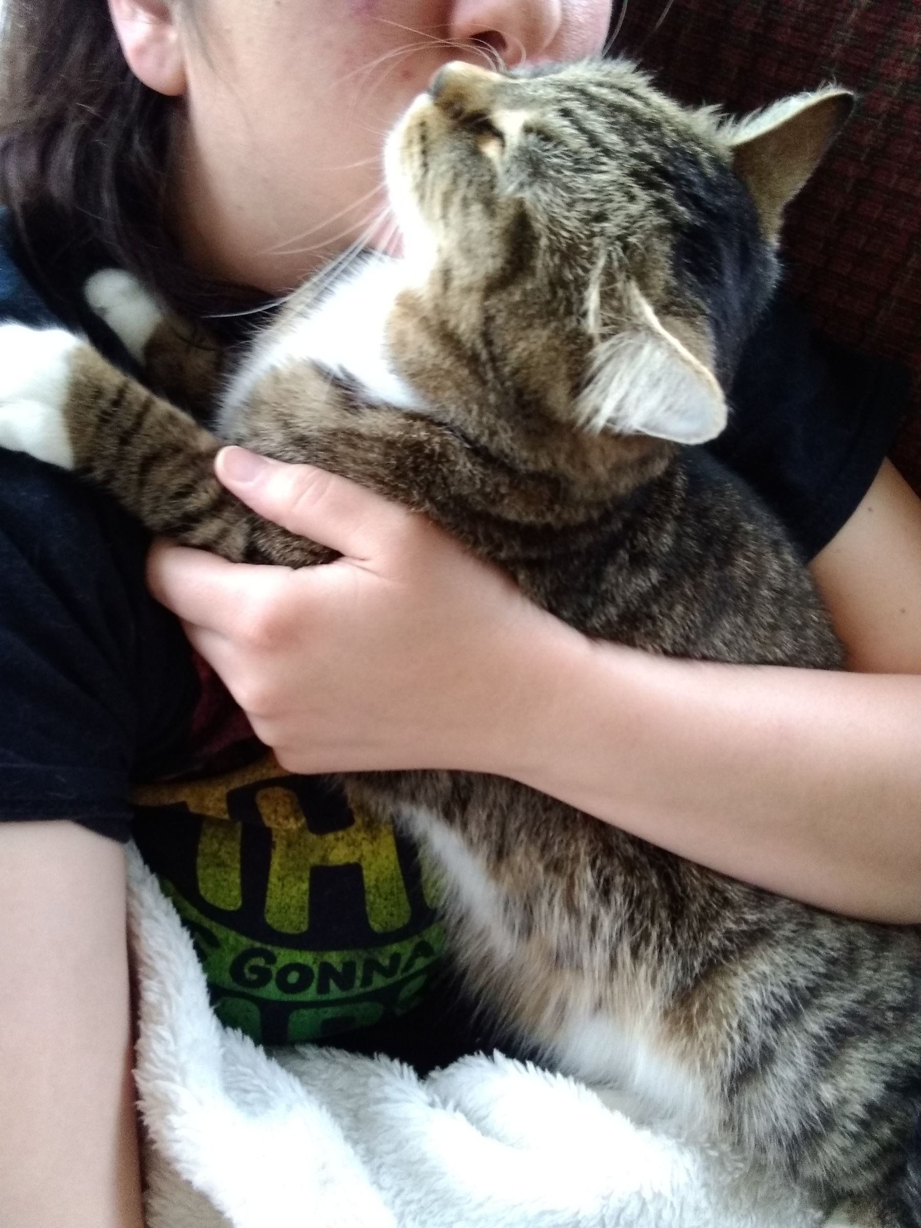 How To: Lull Your Cat to Sleep : 14 Steps (with Pictures) - Instructables