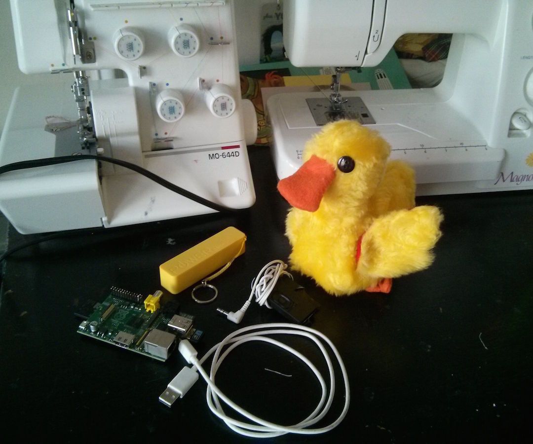 Internet of Ducks : 7 Steps - Instructables