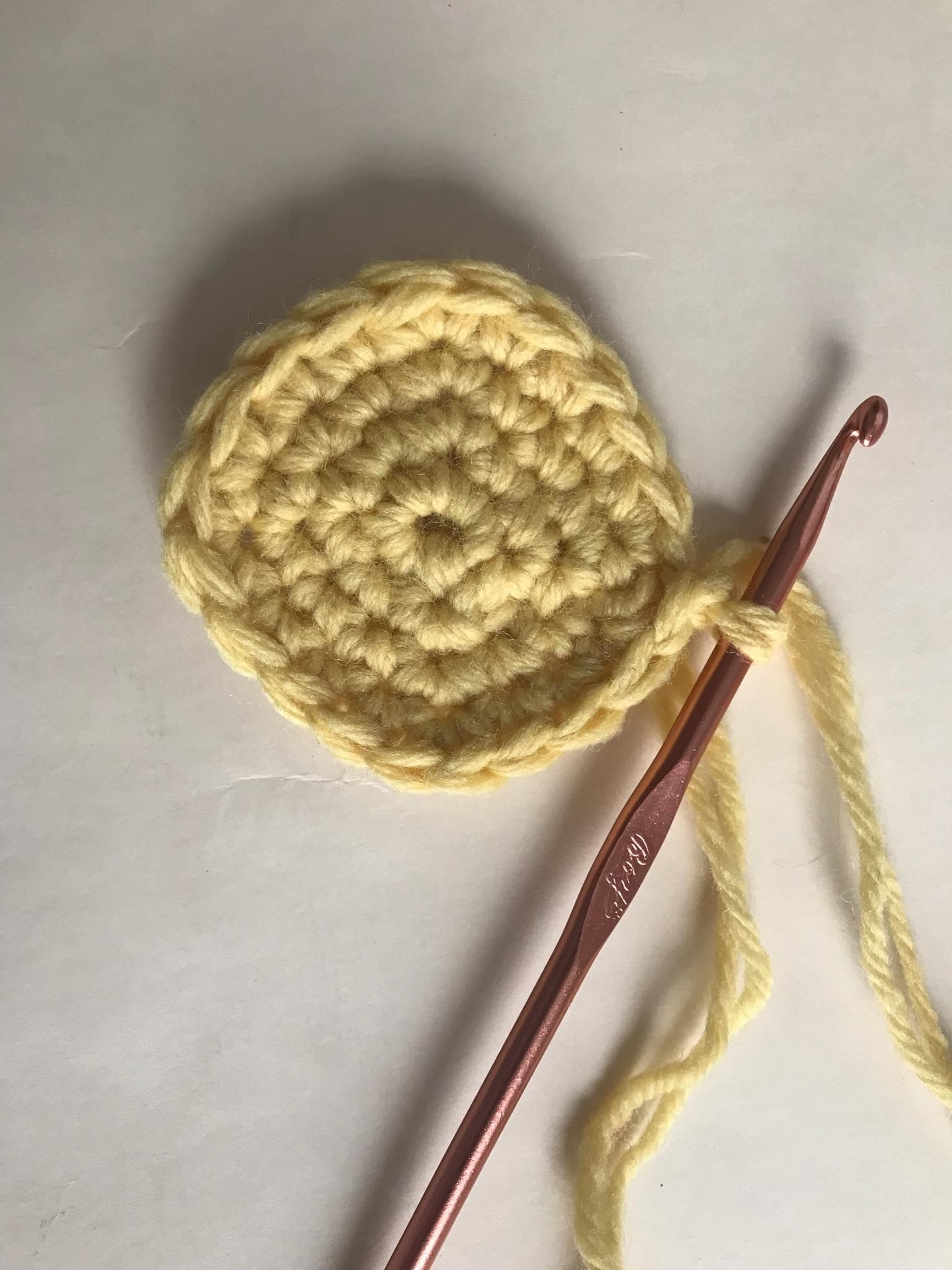 Ukrainian Crochet Flying Disc Dog Toy : 4 Steps - Instructables