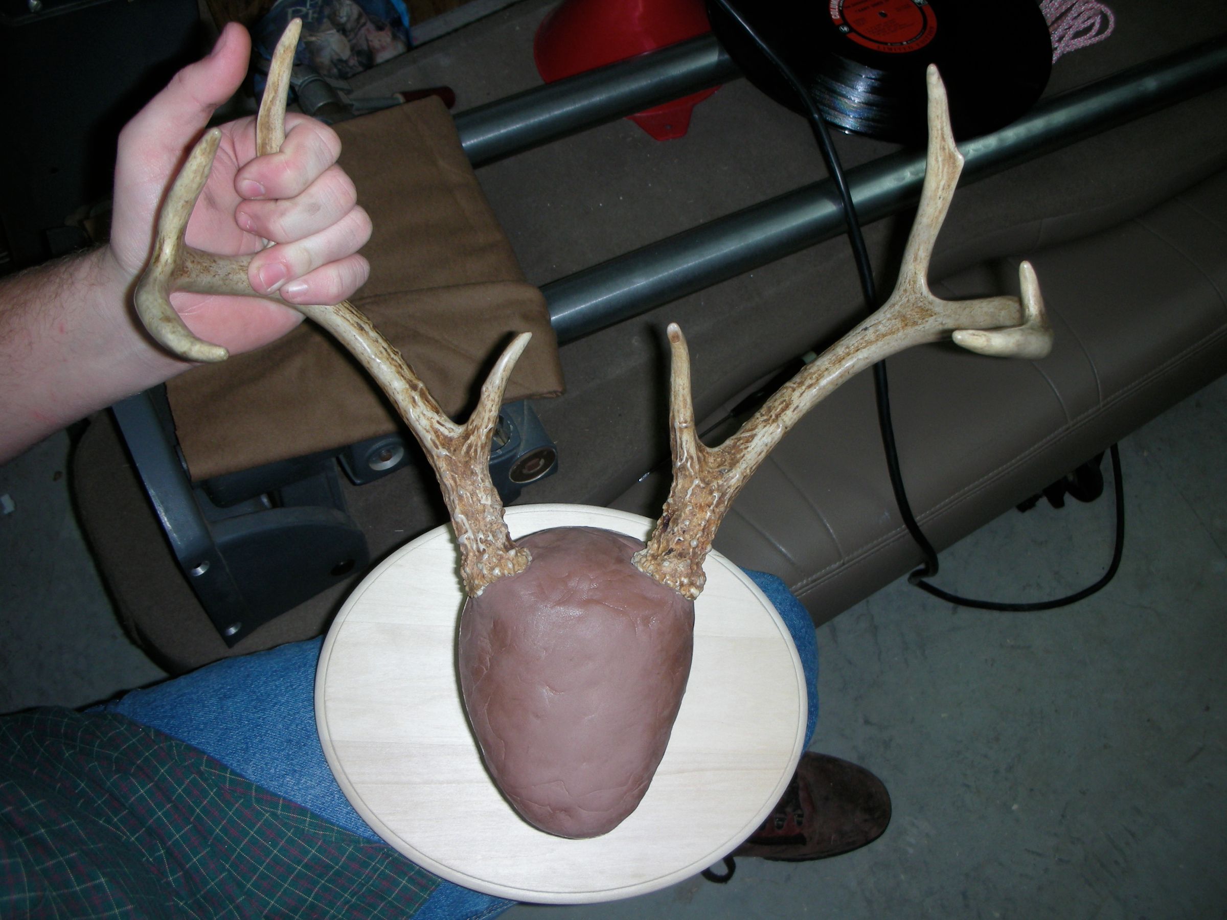 Mounting Deer Antlers : 10 Steps (with Pictures) - Instructables