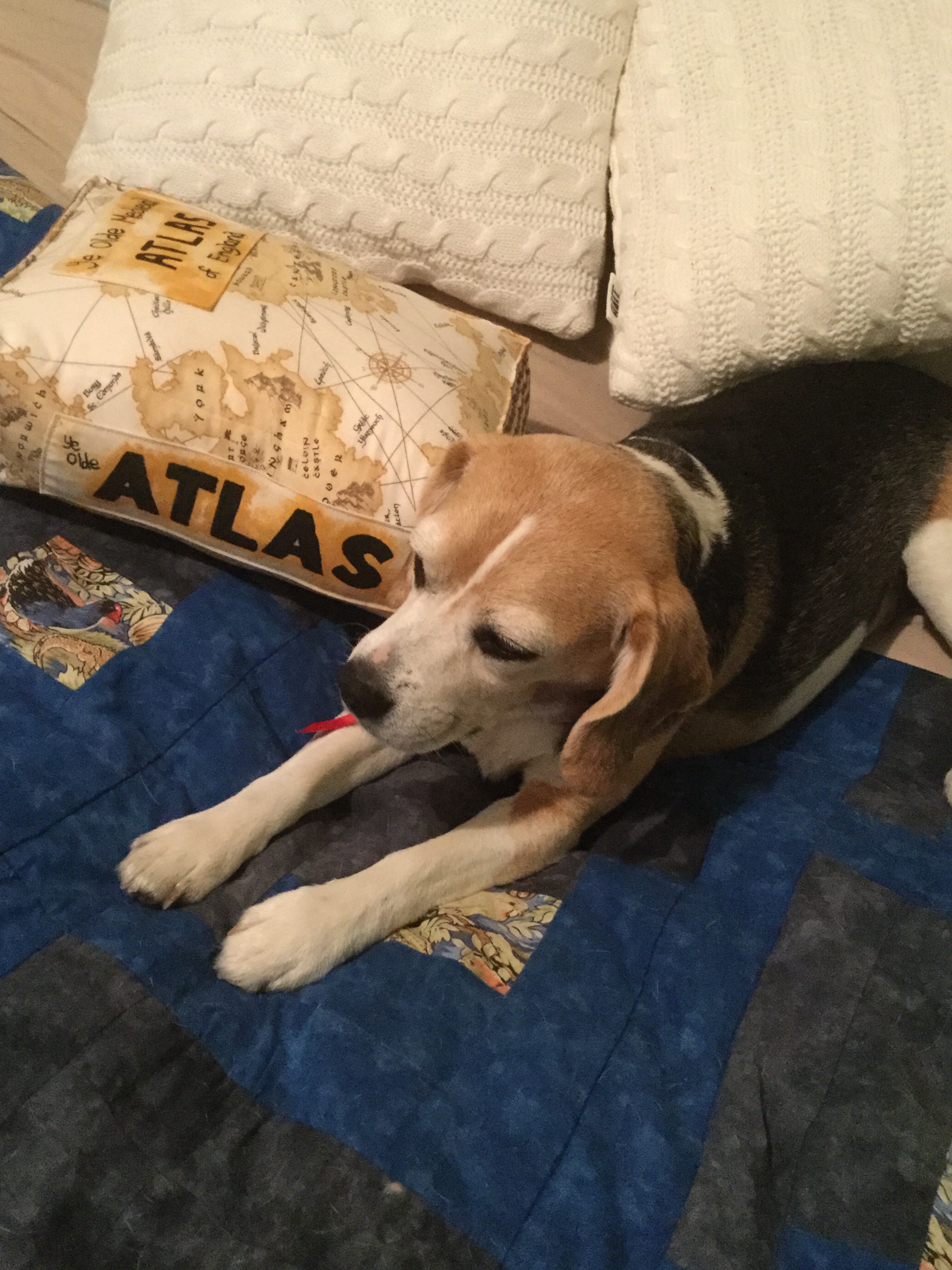 Snuggle Up With a Good Book Pillow : 5 Steps - Instructables