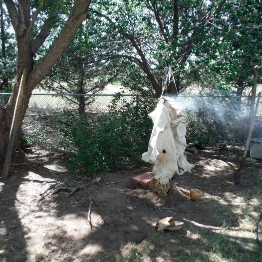 Making Buckskin : 9 Steps (with Pictures) - Instructables