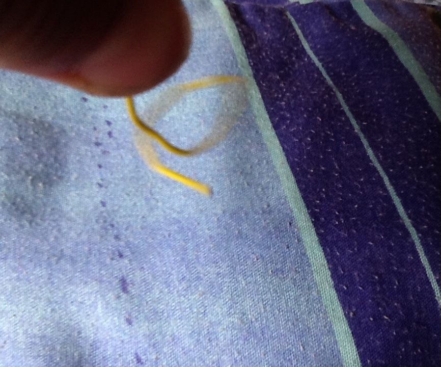 Spinning Top : 5 Steps - Instructables