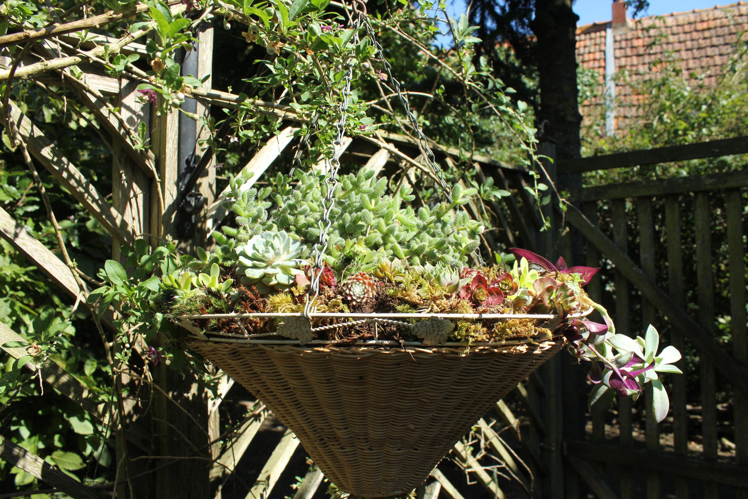 Lampshade to Planter Conversion : 6 Steps (with Pictures) - Instructables