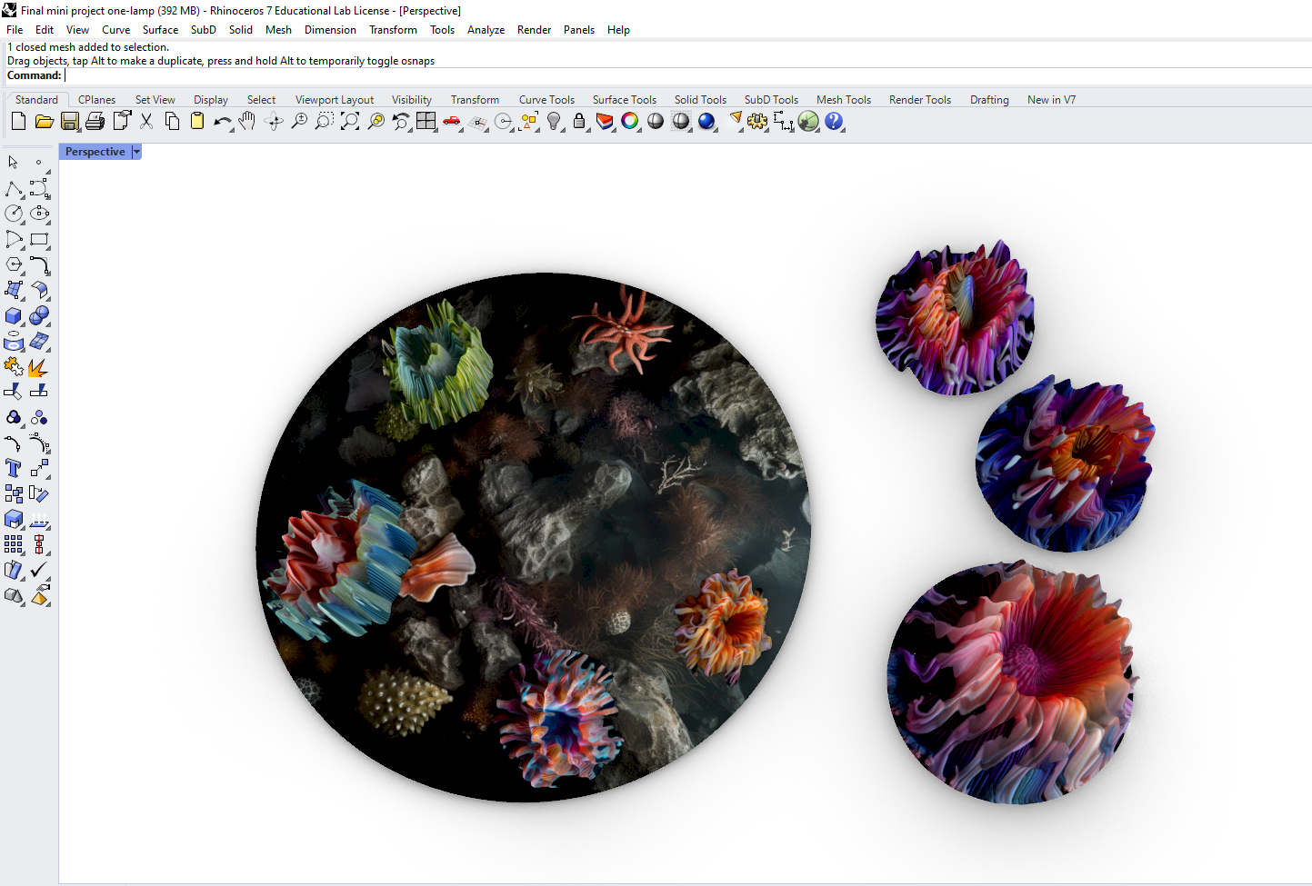 Ocean Beauty: 3D Printing Sea Anemone Decor for Versatile Applications ...