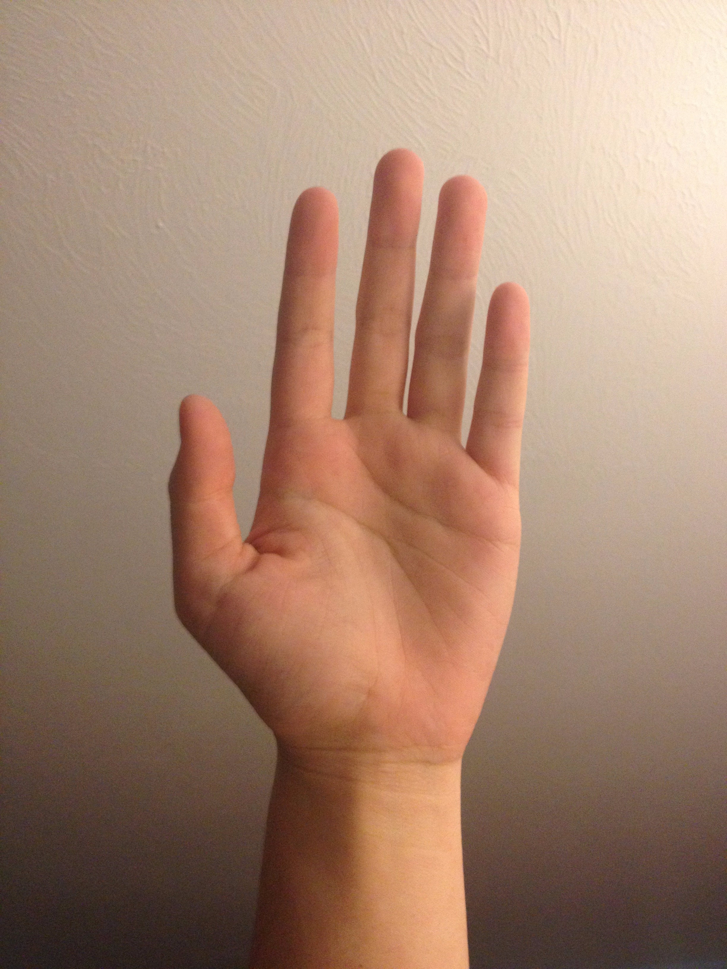 Drawing Hands--The Simple Way : 8 Steps - Instructables