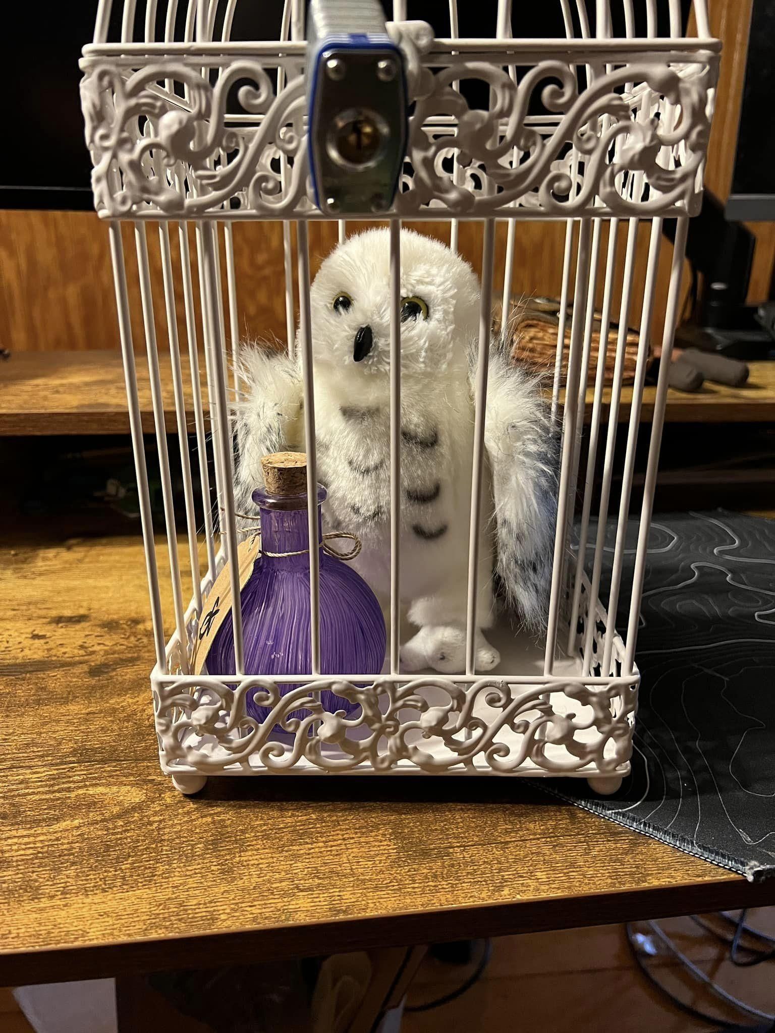 Harry Potter Escape Room for Kids : 10 Steps (with Pictures ...