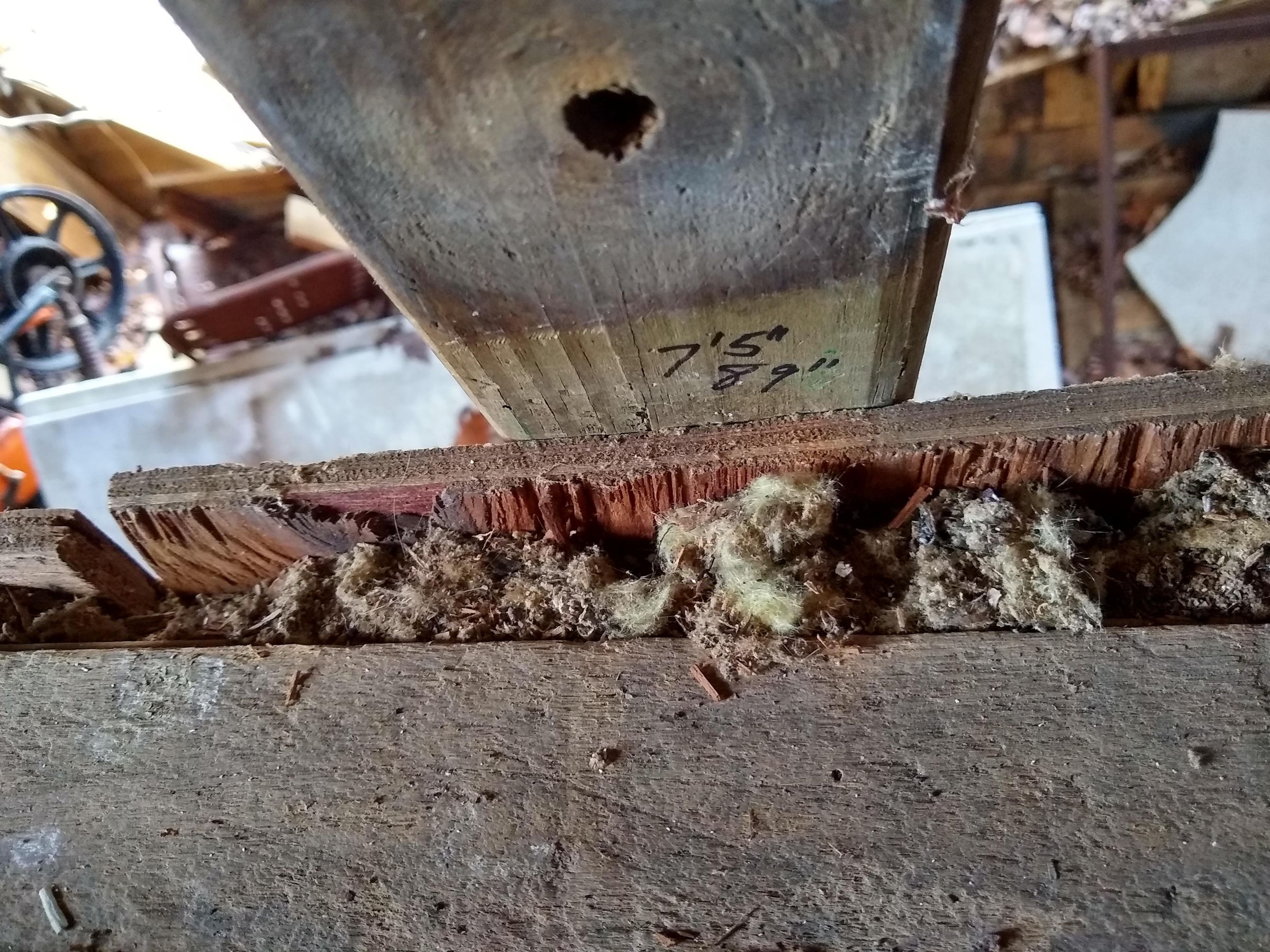 2x4 Ladder : 6 Steps (with Pictures) - Instructables