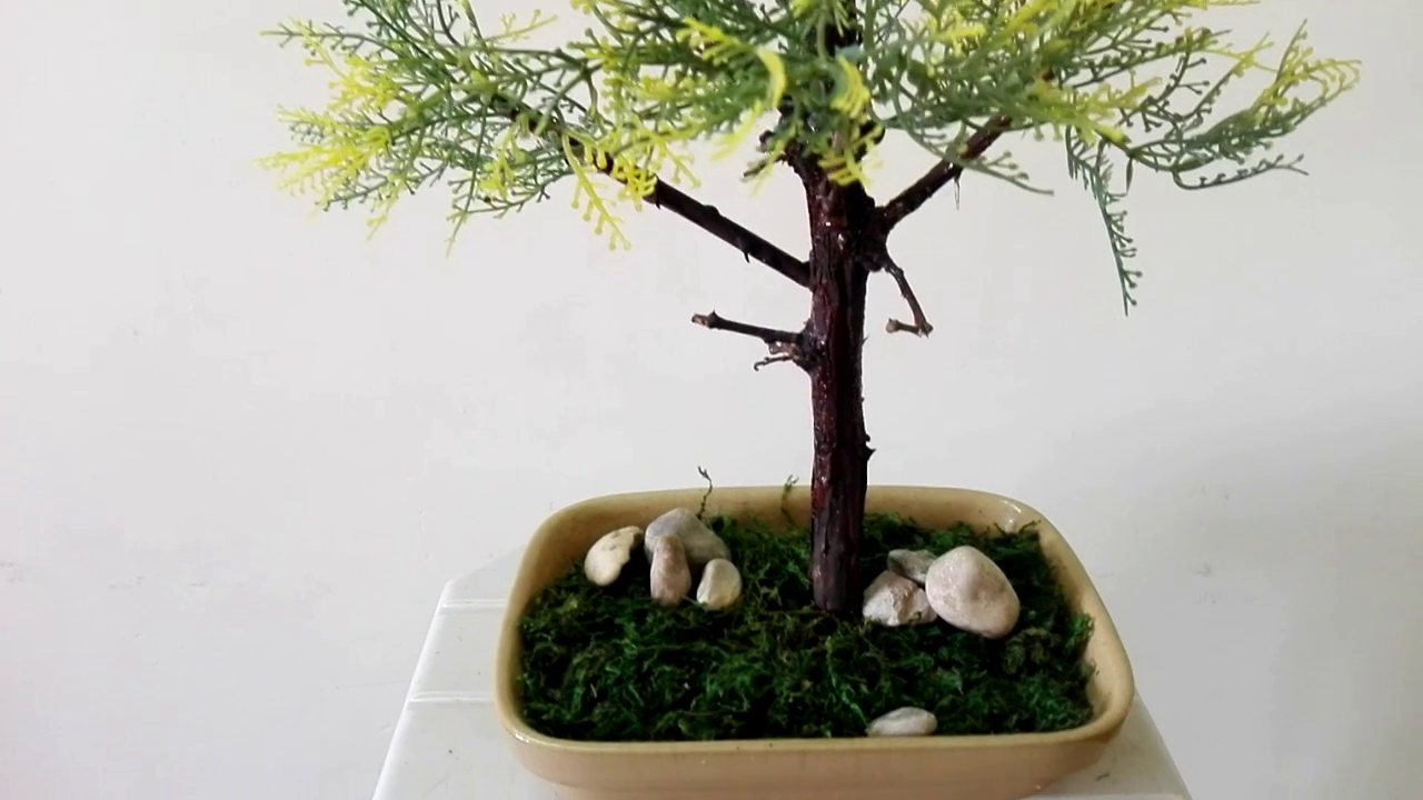 DIY Pine Tree ,Easy and Beautiful Tree : 5 Steps - Instructables