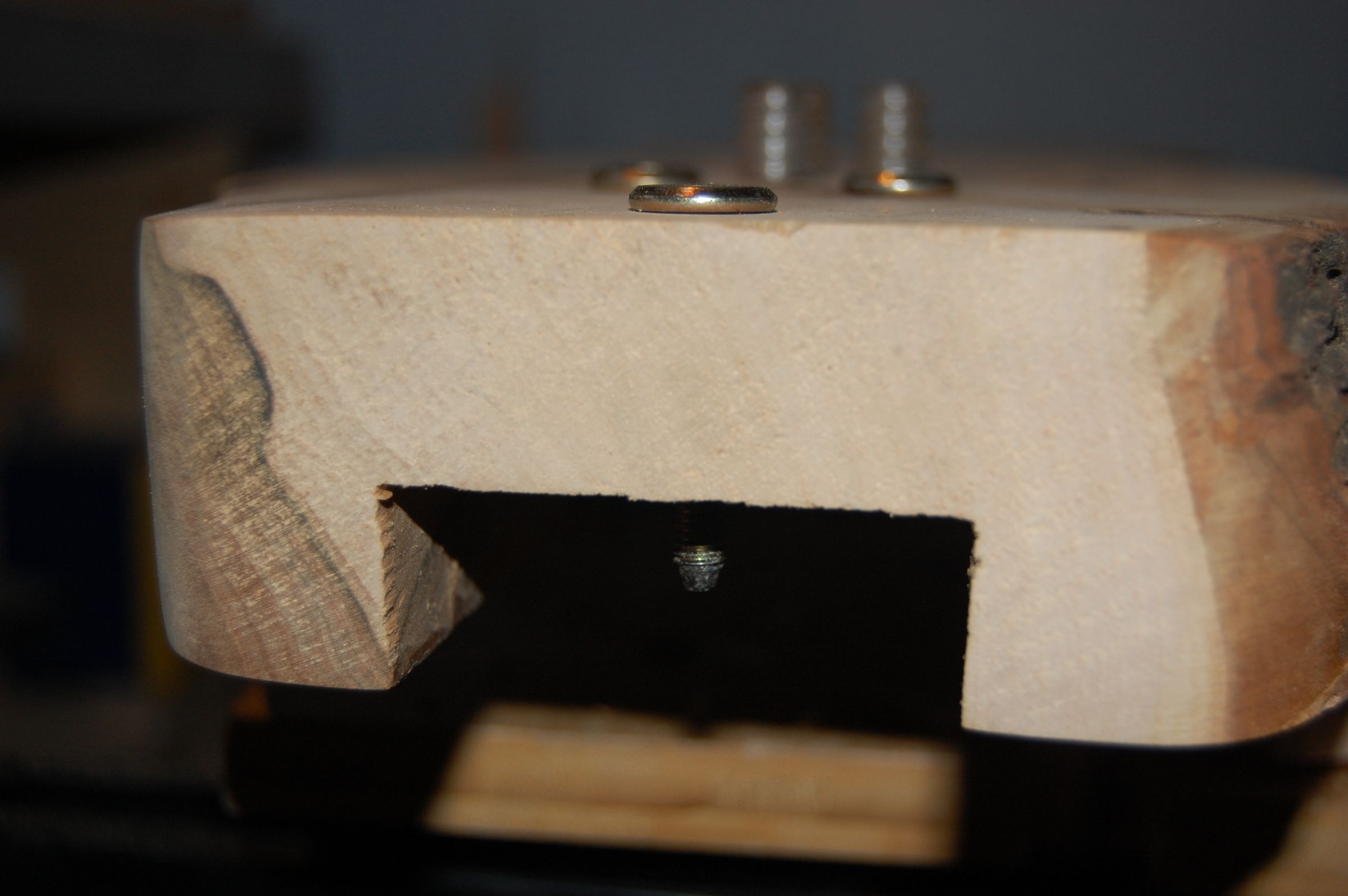 Electric Upright Bass : 7 Steps (with Pictures) - Instructables