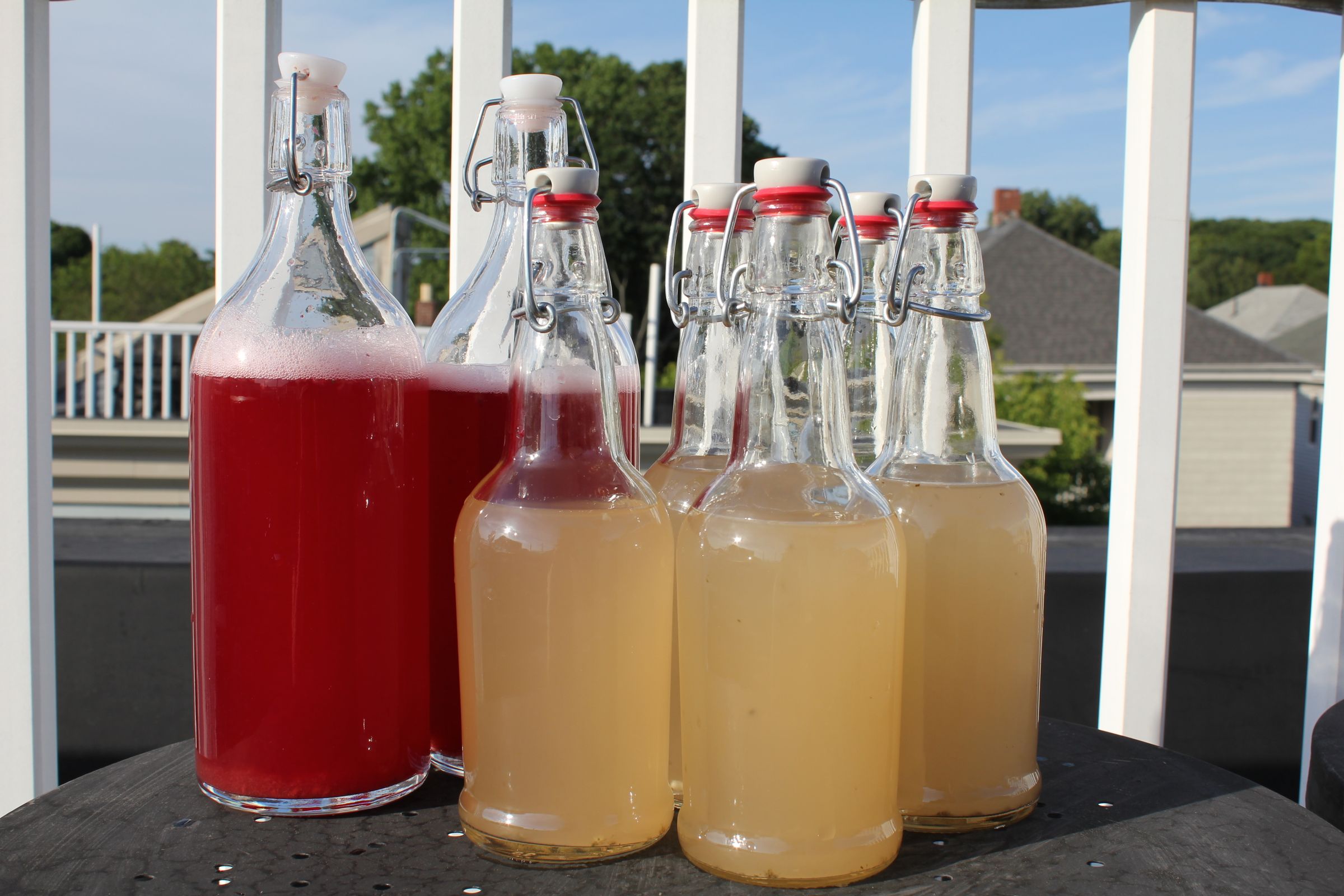 Double Fermented Kombucha : 10 Steps (with Pictures) - Instructables