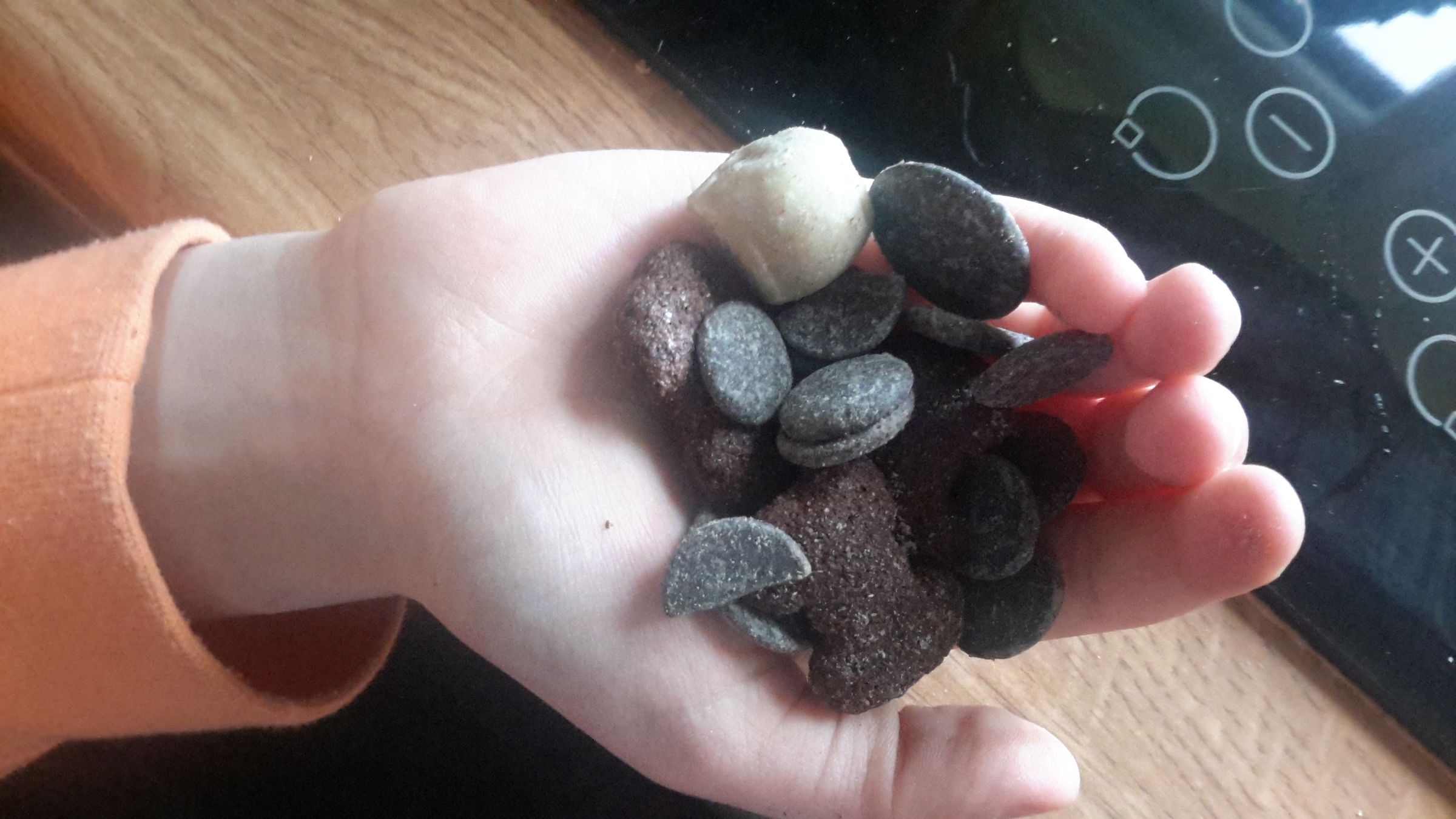 Dog Ice Lollies : 6 Steps - Instructables