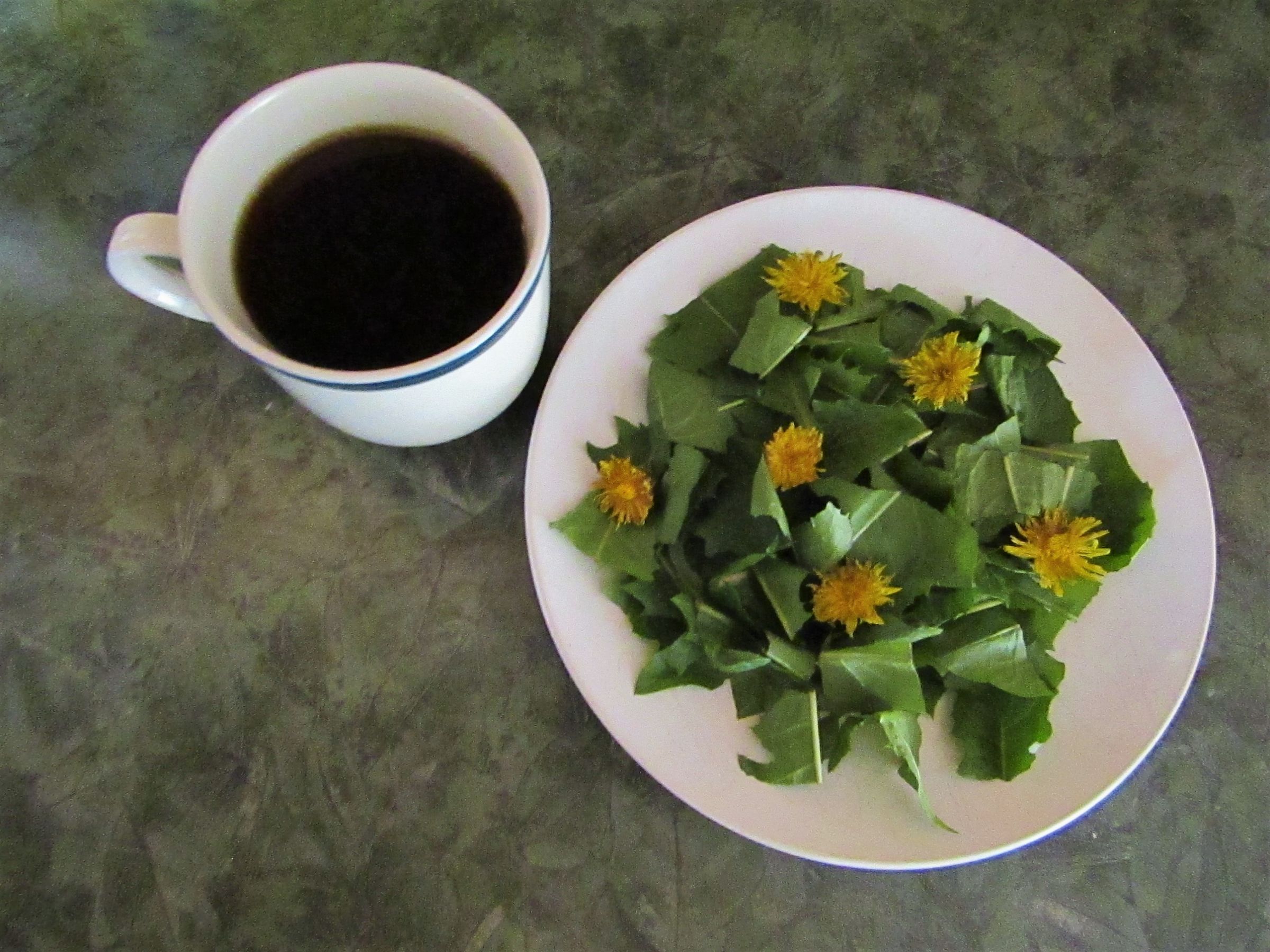 How to Eat a Dandelion : 10 Steps (with Pictures) - Instructables