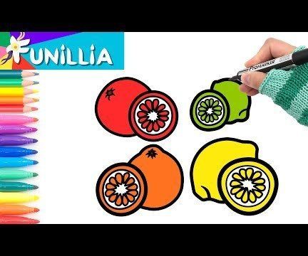 Let's Draw and Color Citrus Fruits With Cross Sections : 4 Steps ...