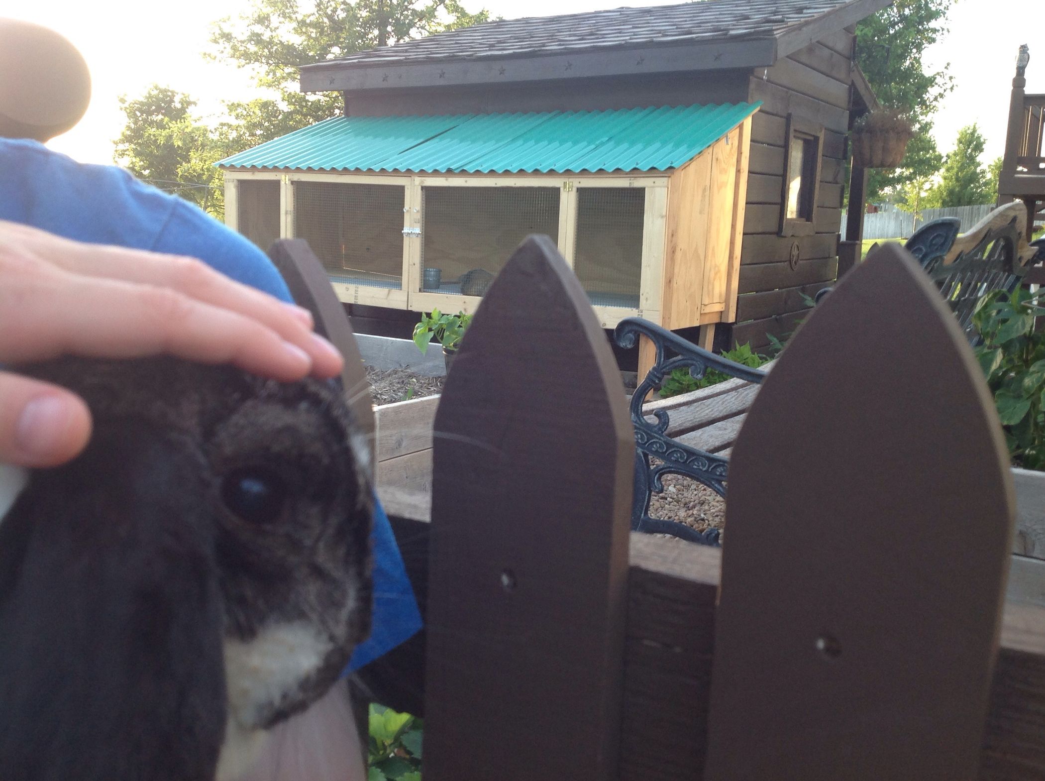 A Kid-Friendly Rabbit Hotel : 12 Steps (with Pictures) - Instructables