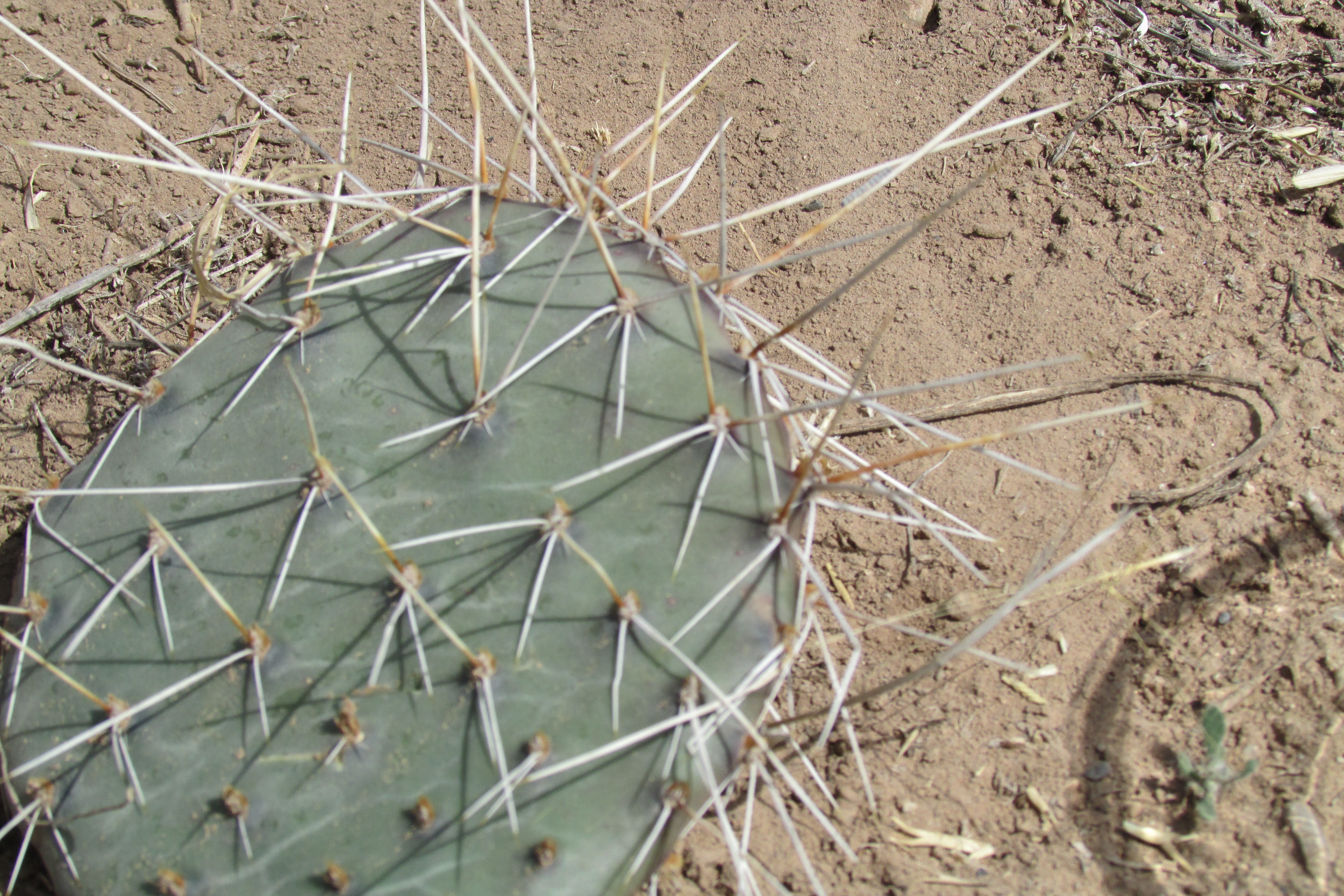 Solar Still : 4 Steps - Instructables