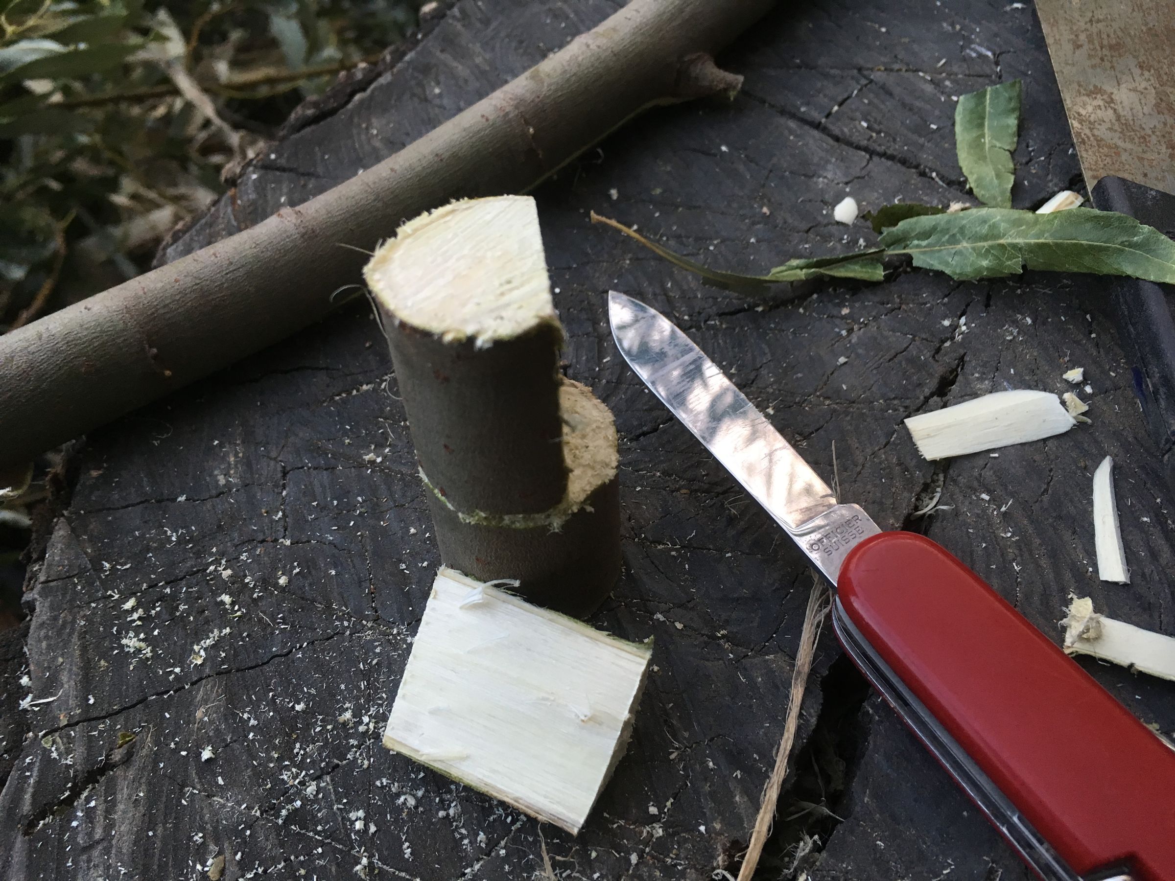5 Super-easy Branch Carving Projects : 10 Steps (with Pictures ...