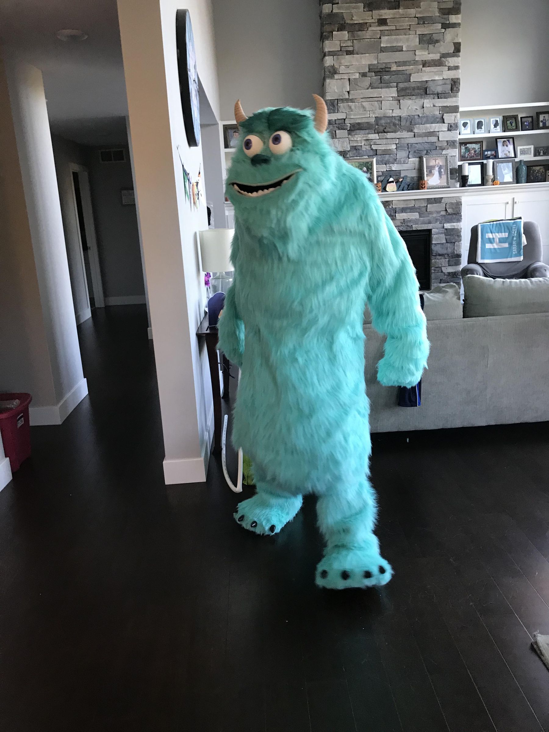 Sulley (Trademark Disney) Monster Homemade Halloween Costume : 11 Steps ...