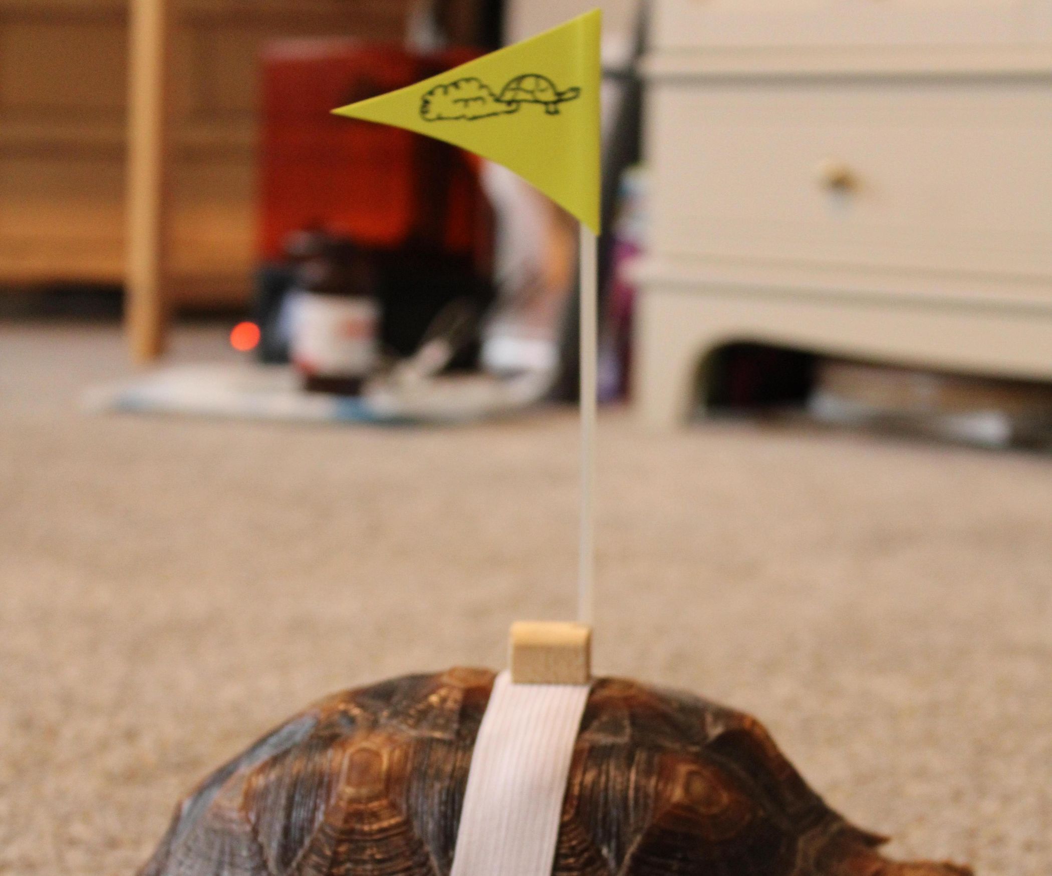 Wandering Tortoise Flag : 4 Steps - Instructables
