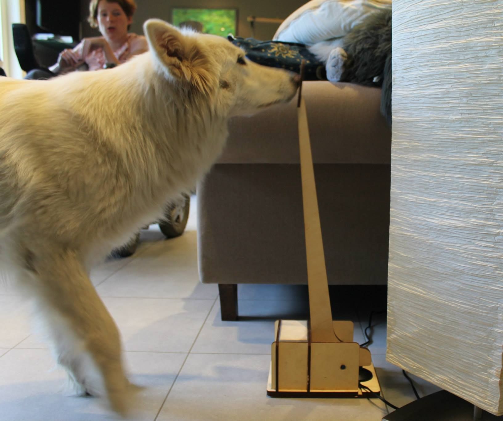 DIY Lamp Switch for Dogs : 7 Steps (with Pictures) - Instructables