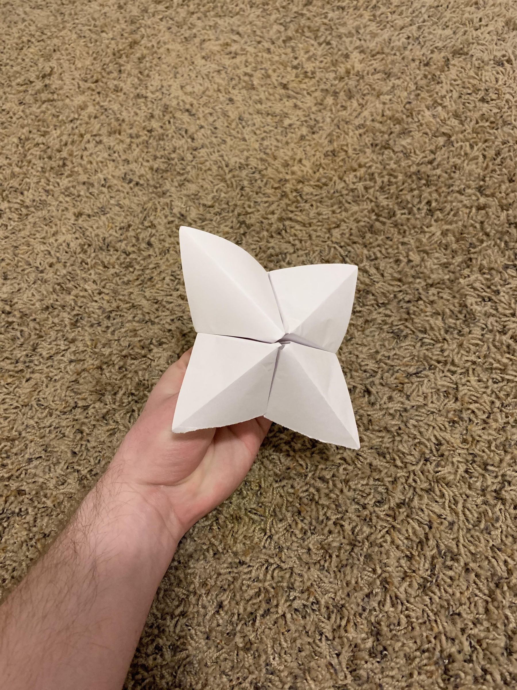 Paper Fortune Cookie Outline